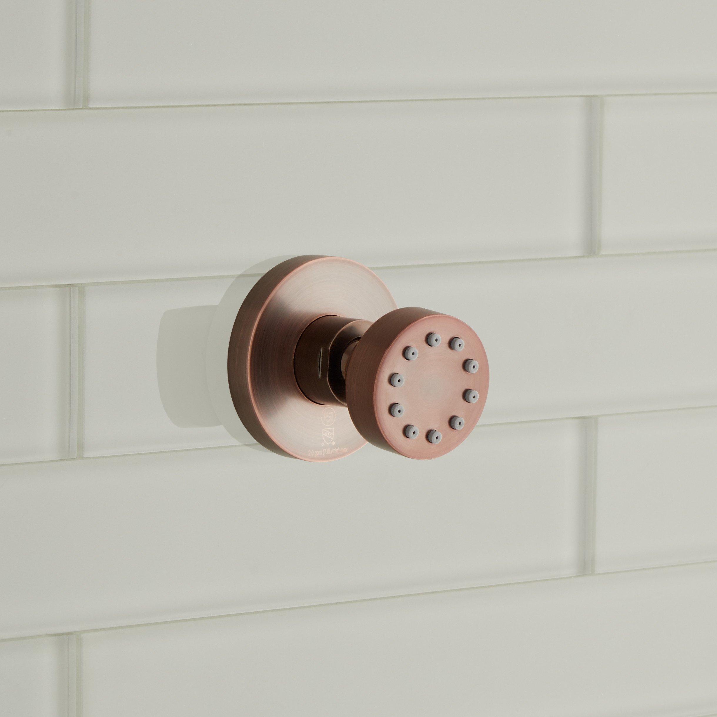 Classic Swivel Body Spray - Oil Rubbed Bronze | Signature Hardware