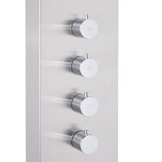 Shelton Thermostatic Stainless Steel Tub and Shower Panel with Hand ...