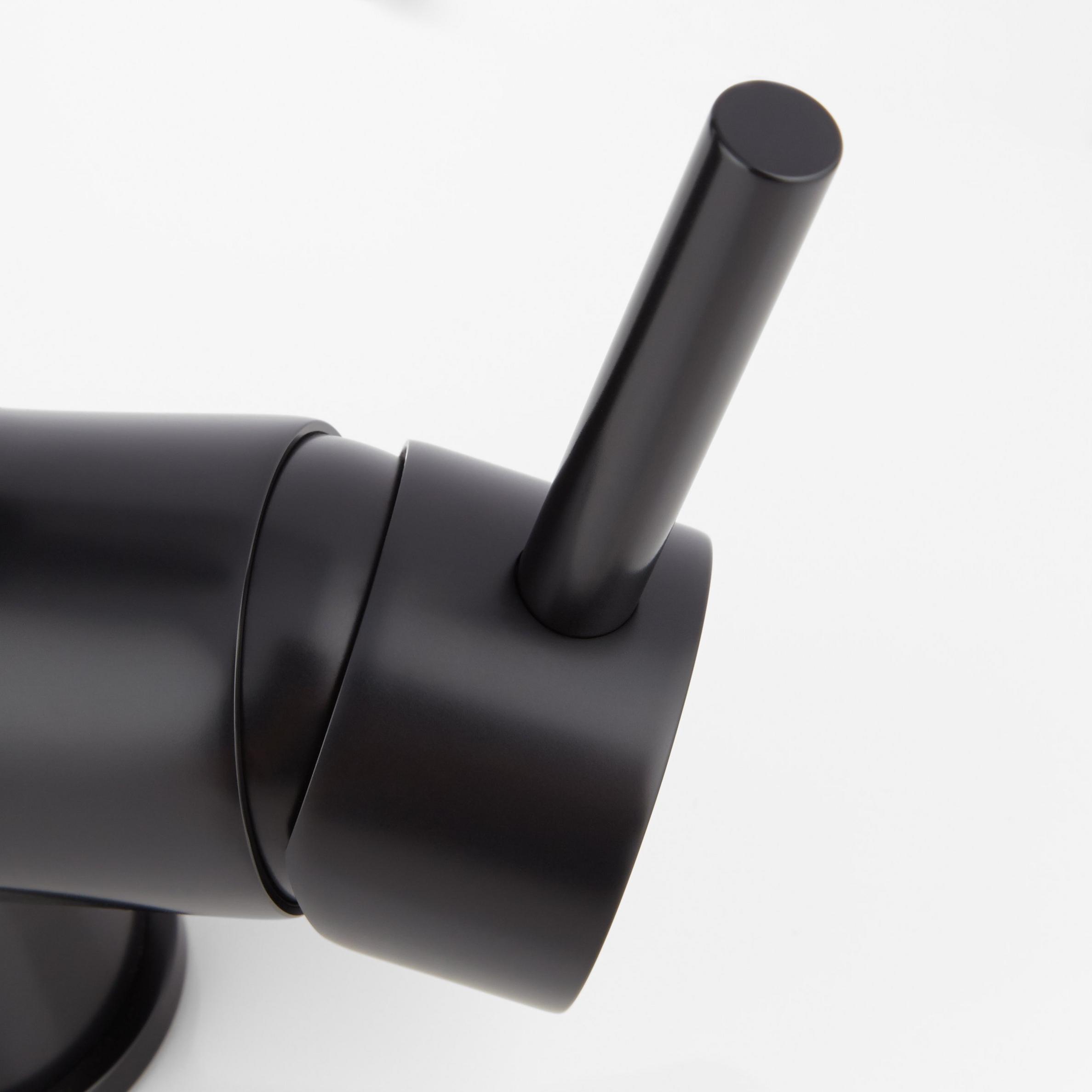 Levi Kitchen Faucet with Pull-Down Spring Spout - Black | Signature ...