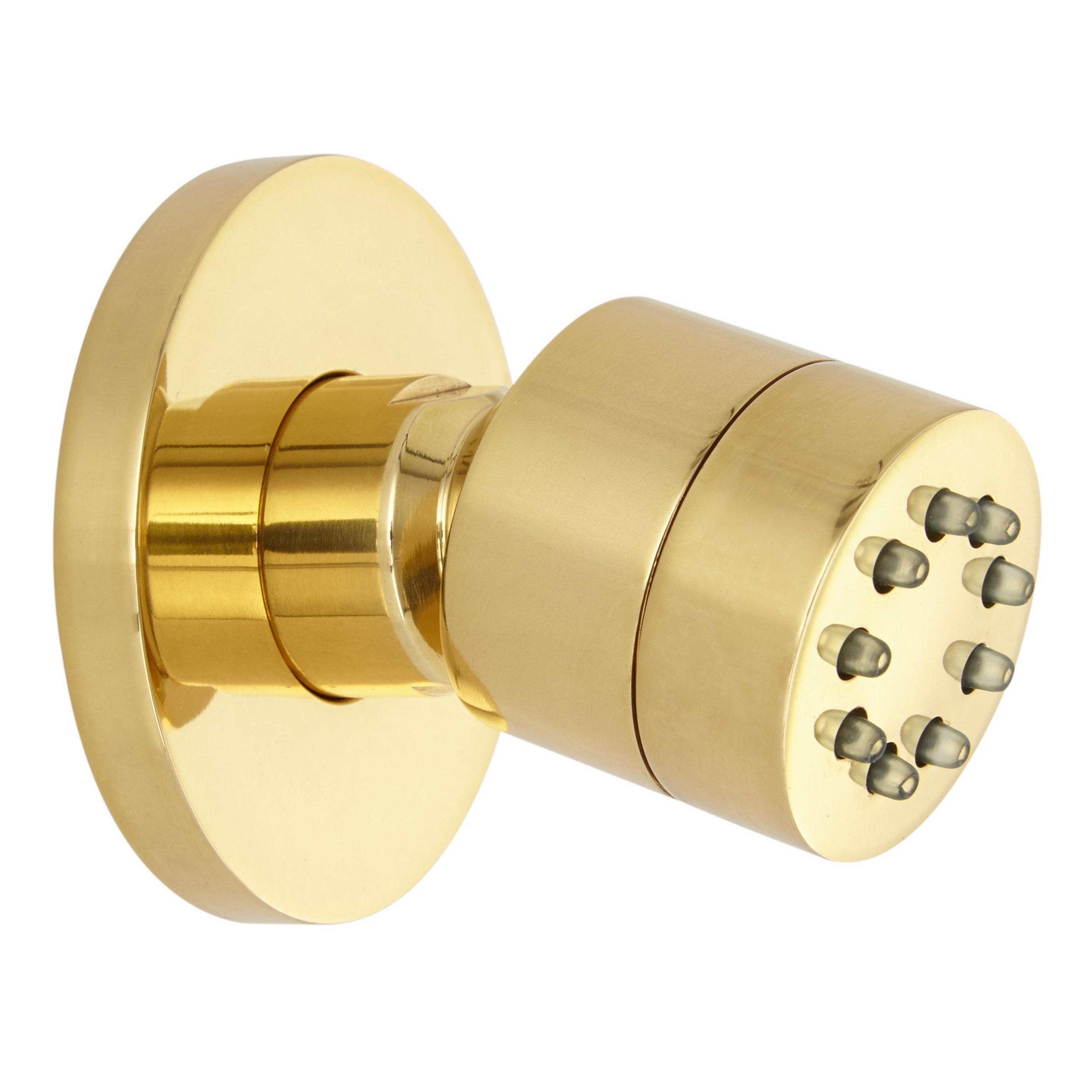 Swivel Body Spray | Signature Hardware