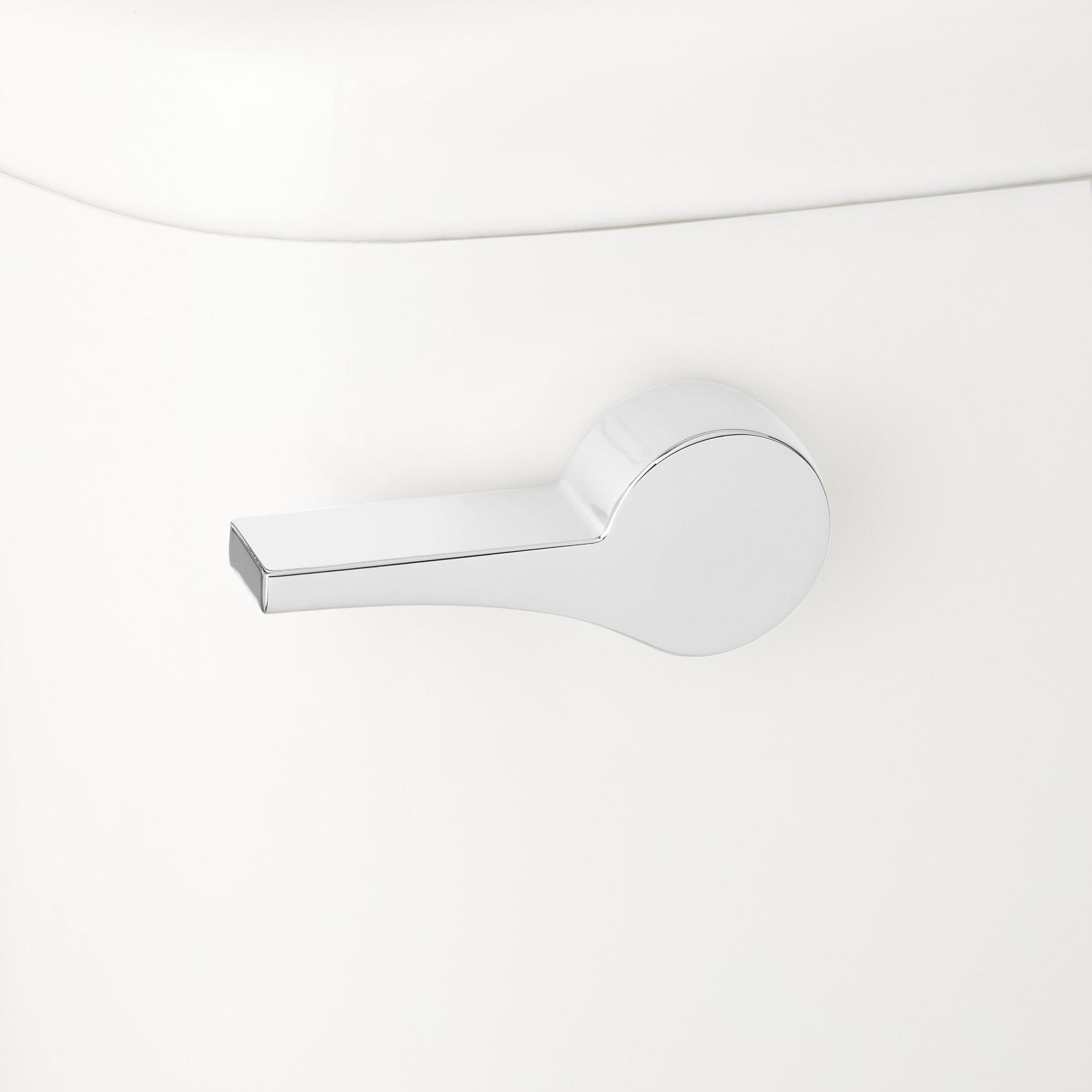 Bradenton Toilet Flush Handle | Signature Hardware