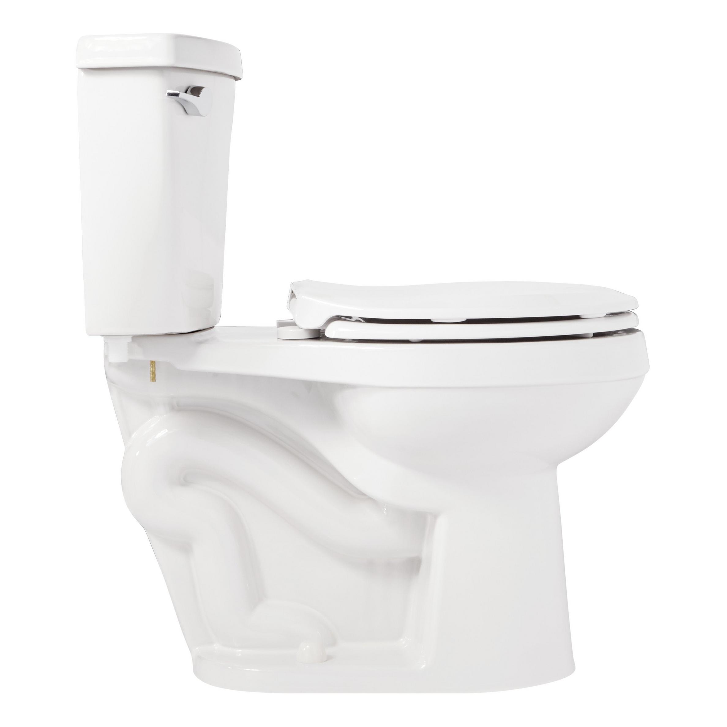 Bradenton Two-Piece Round Toilet with 10" Rough-In - 16" Bowl Height ...