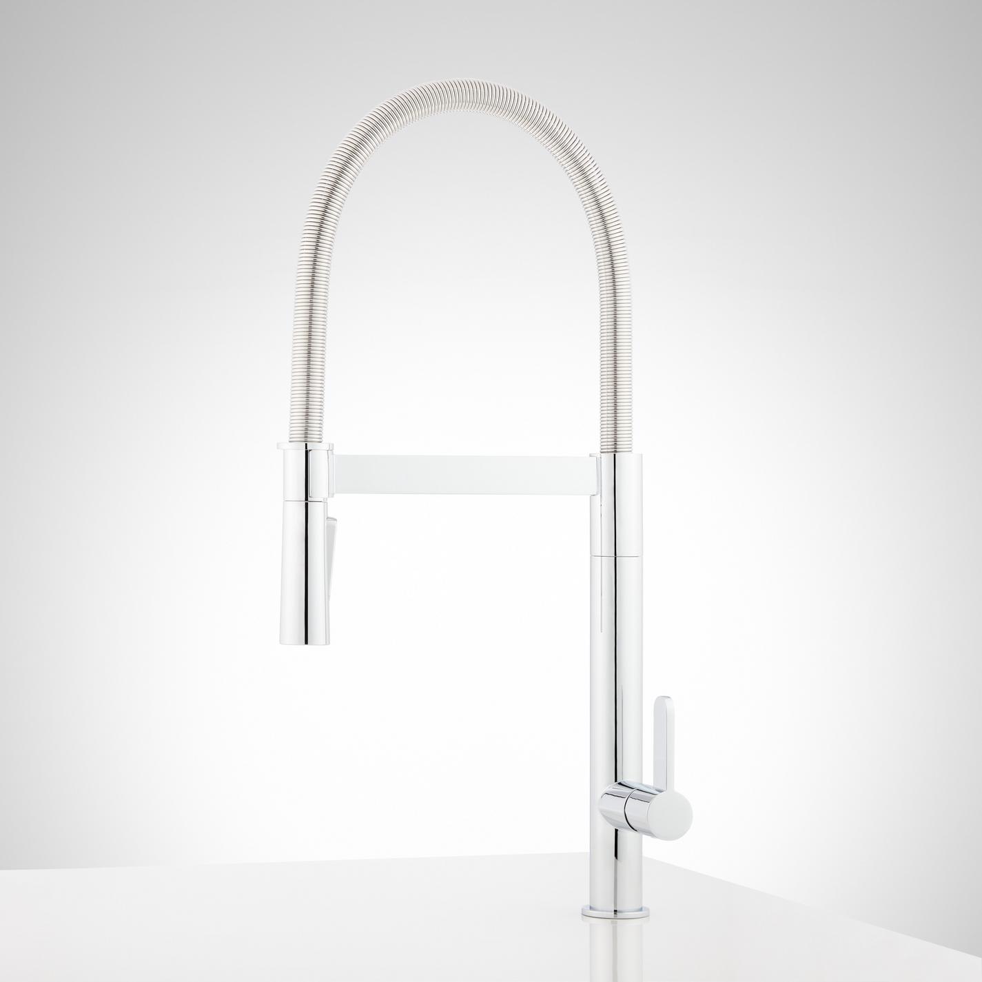 Ocala Single-Hole Kitchen Faucet with Pull-Down Spring Spout ...