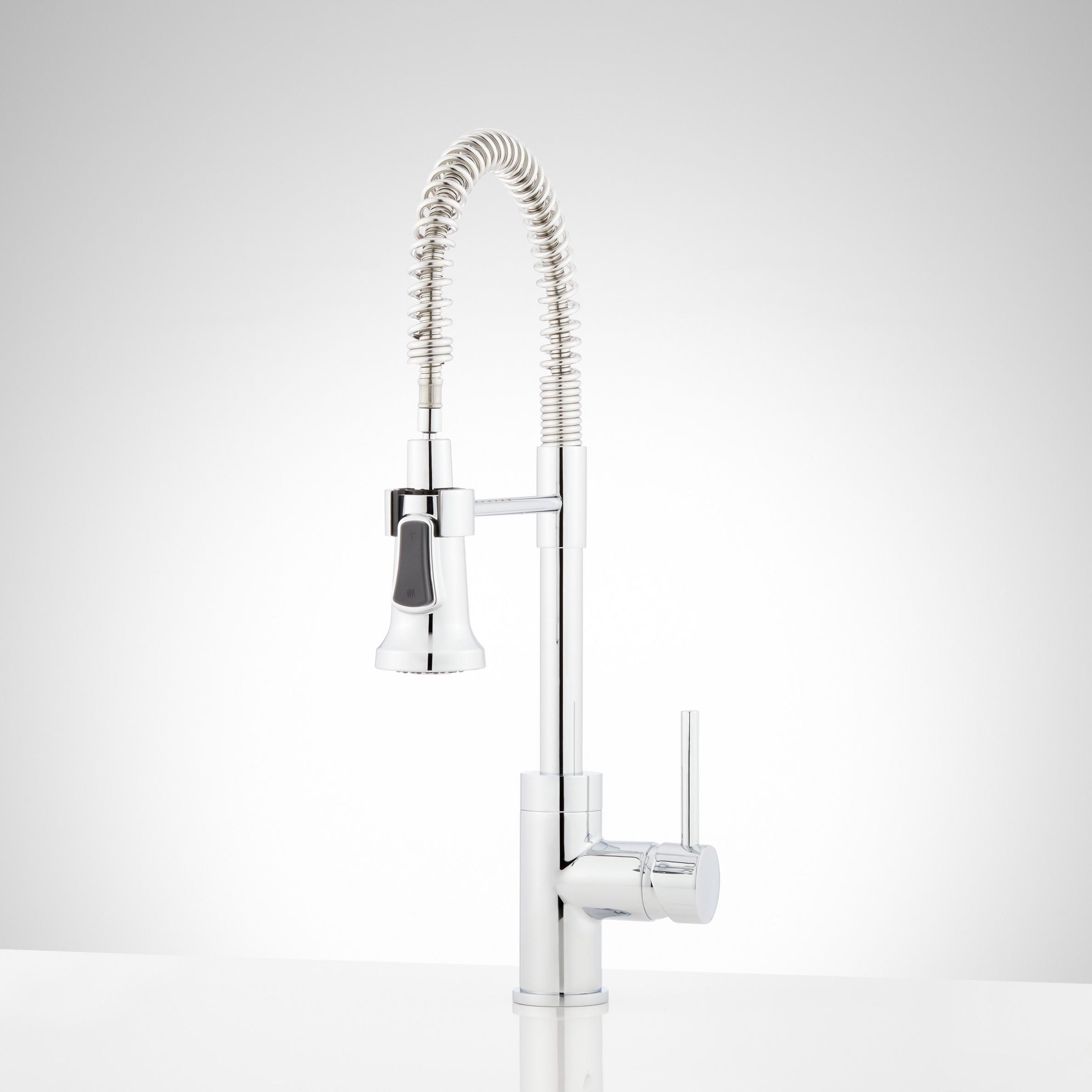 19" Presidio Kitchen Faucet with Pull-Down Spring Spout | Signature ...