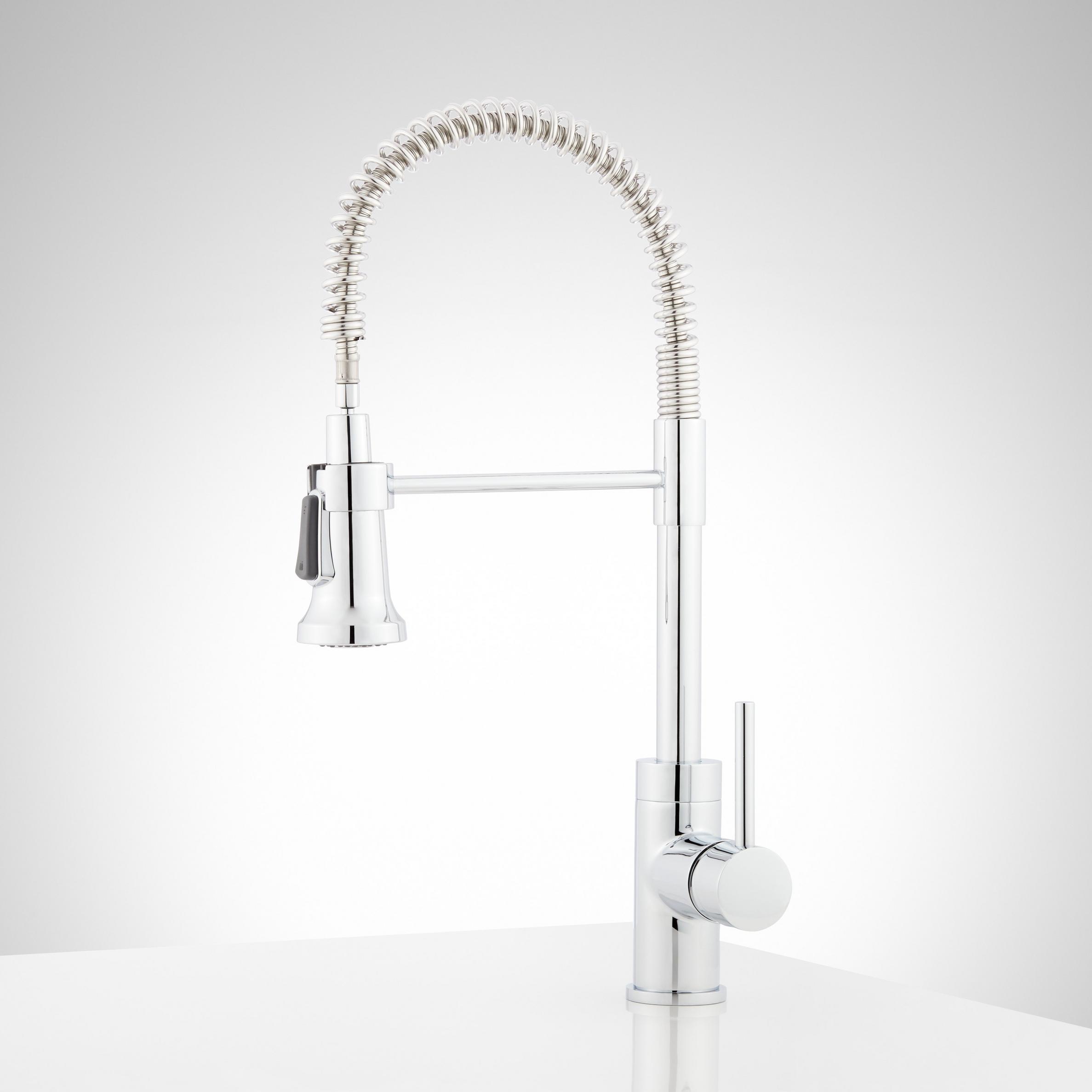 19" Presidio Kitchen Faucet with Pull-Down Spring Spout | Signature ...