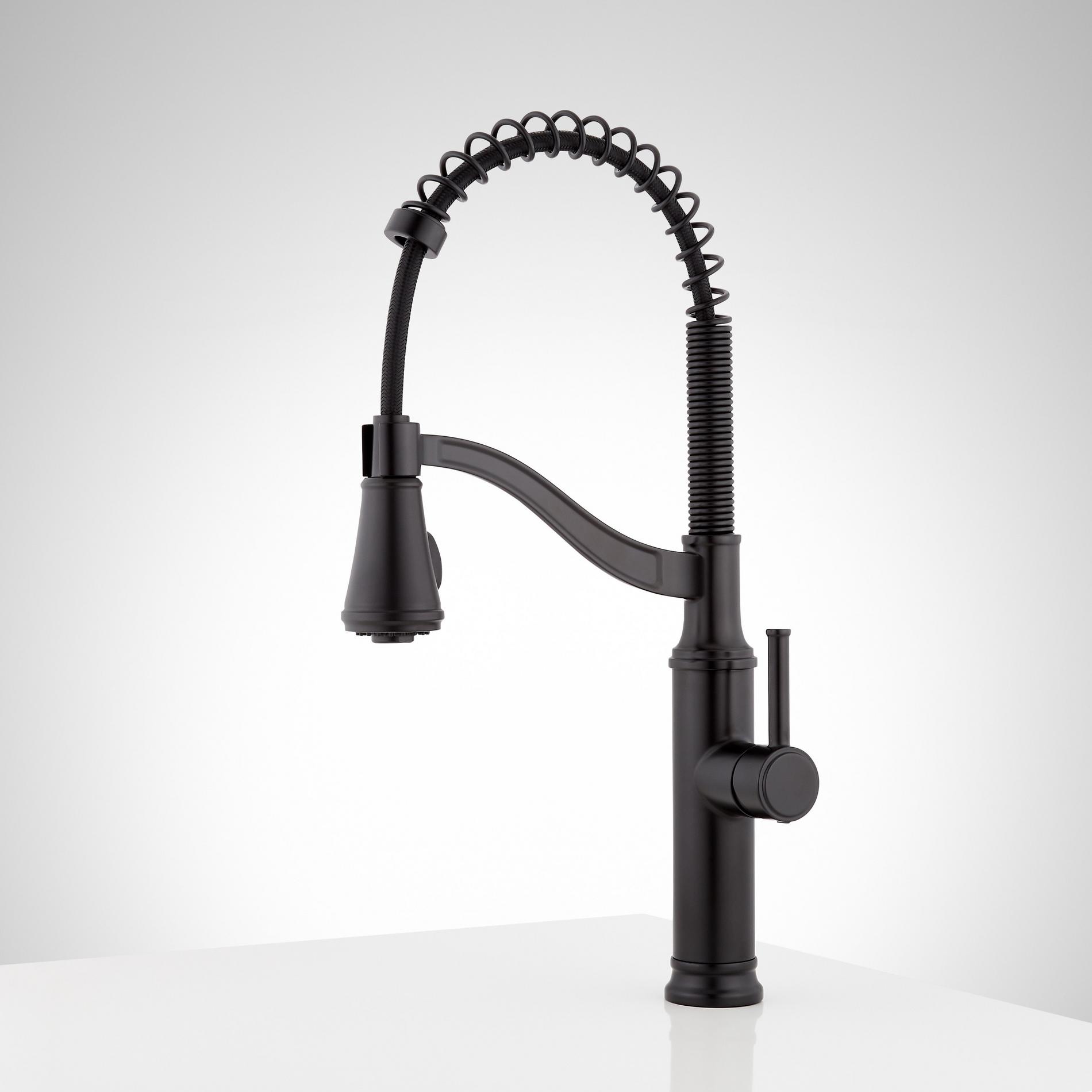 Caribana Single Handle Kitchen Faucet - Matte Black | Signature Hardware
