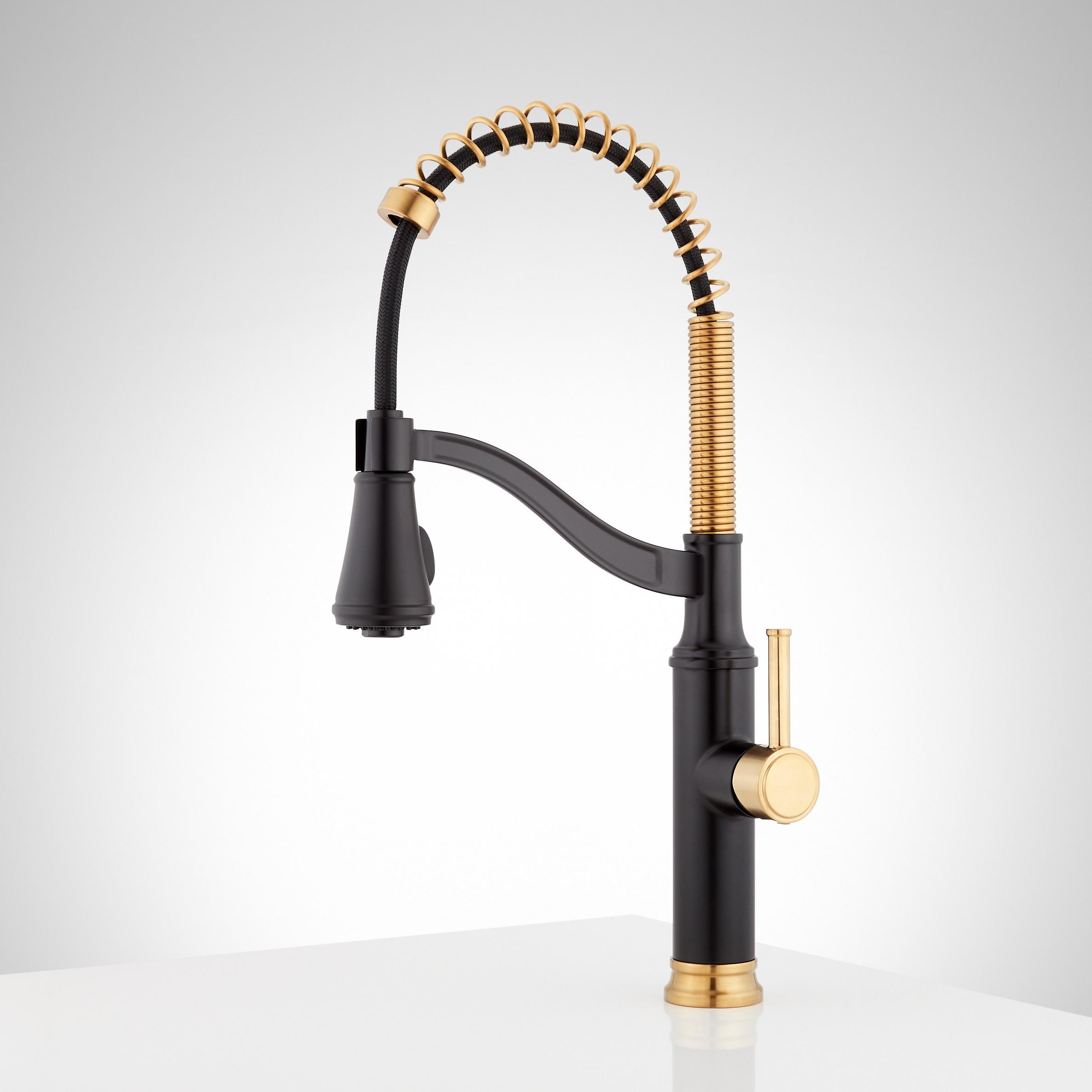 Caribana Single Handle Two-Tone Kitchen Faucet - Matte Black/Brushed ...