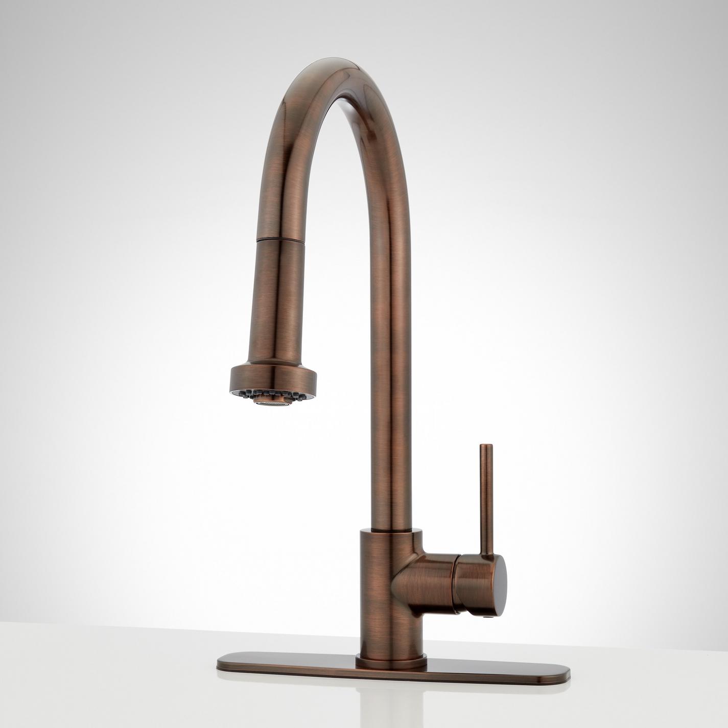 Ridgeway Pull-Down Kitchen Faucet with Deck Plate - Oil Rubbed Bronze ...