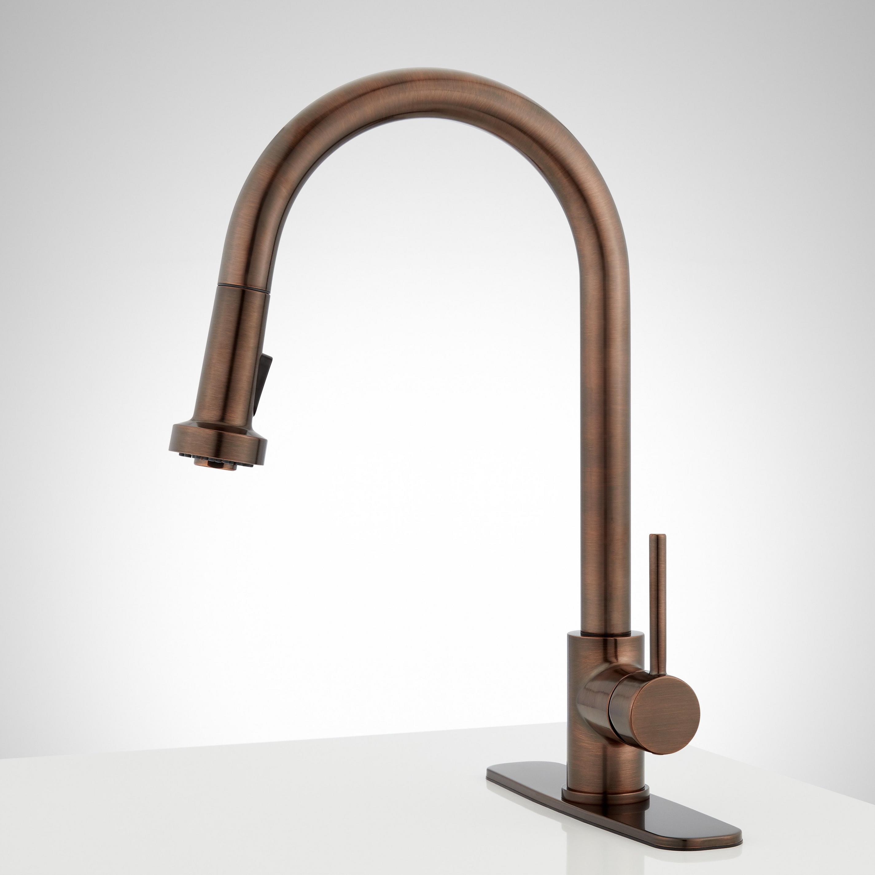 Ridgeway Pull-Down Kitchen Faucet with Deck Plate - Oil Rubbed Bronze ...