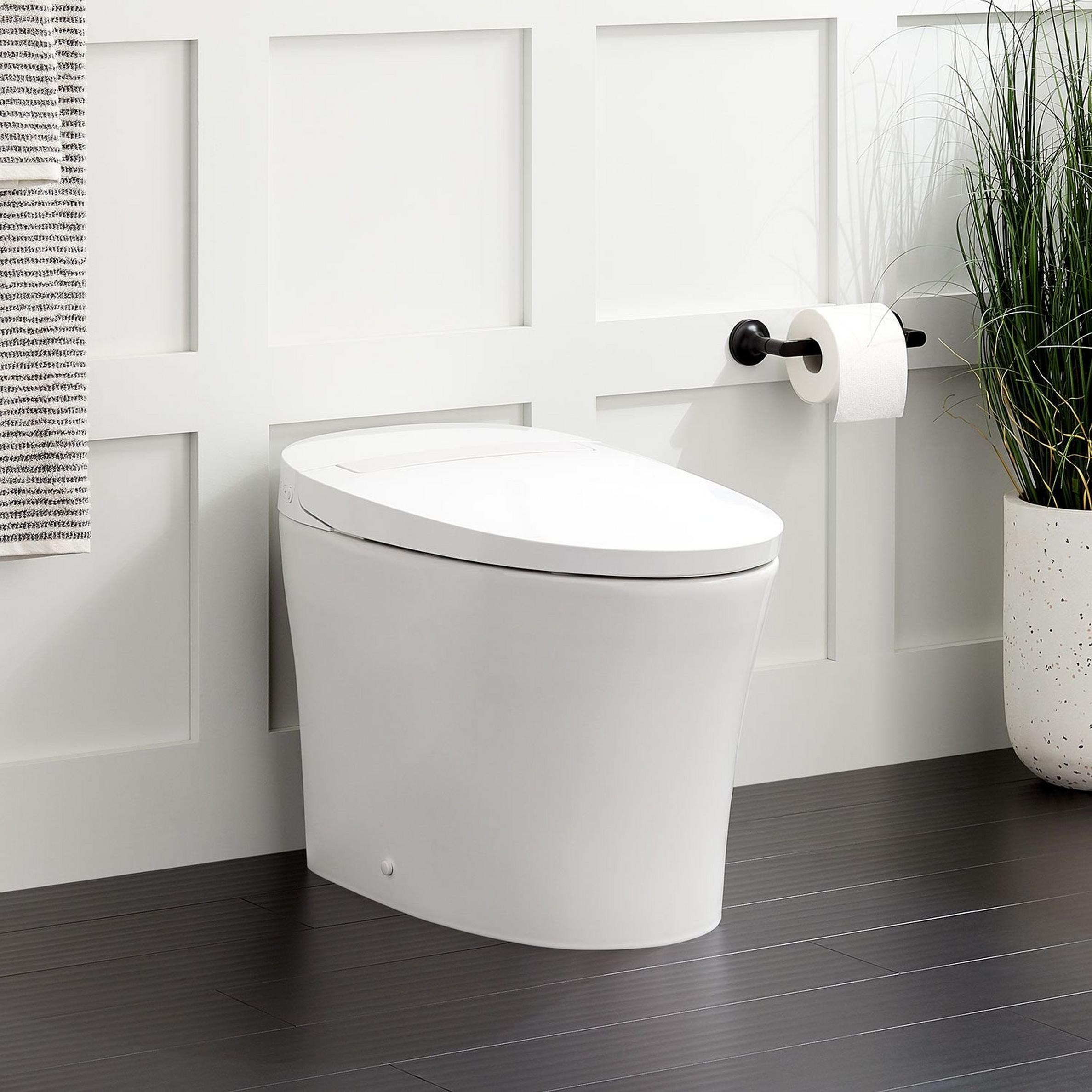 Narelle One-Piece Elongated Tankless Battery Operated Toilet ...