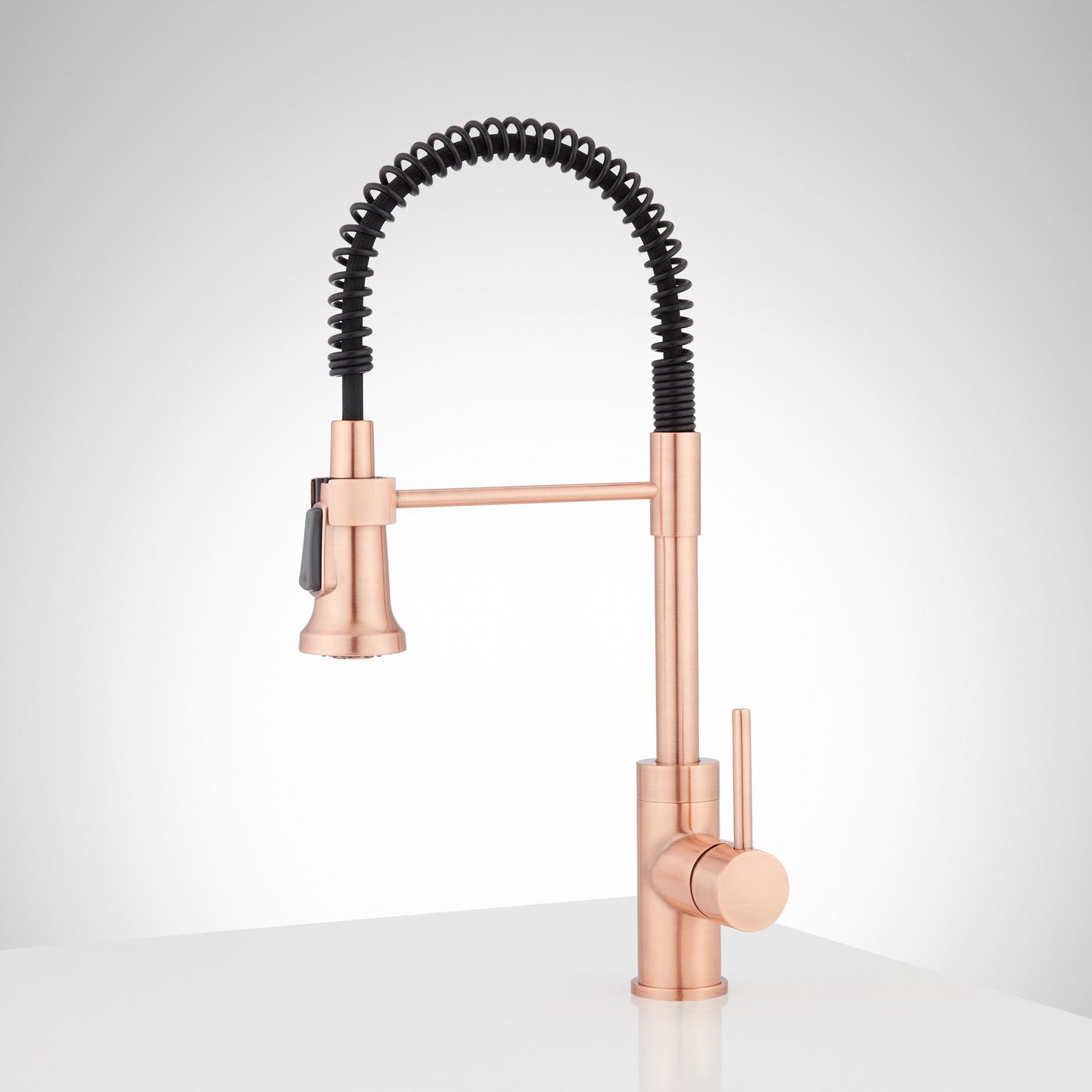 19" Presidio Kitchen Faucet with Pull-Down Spring Spout | Signature ...