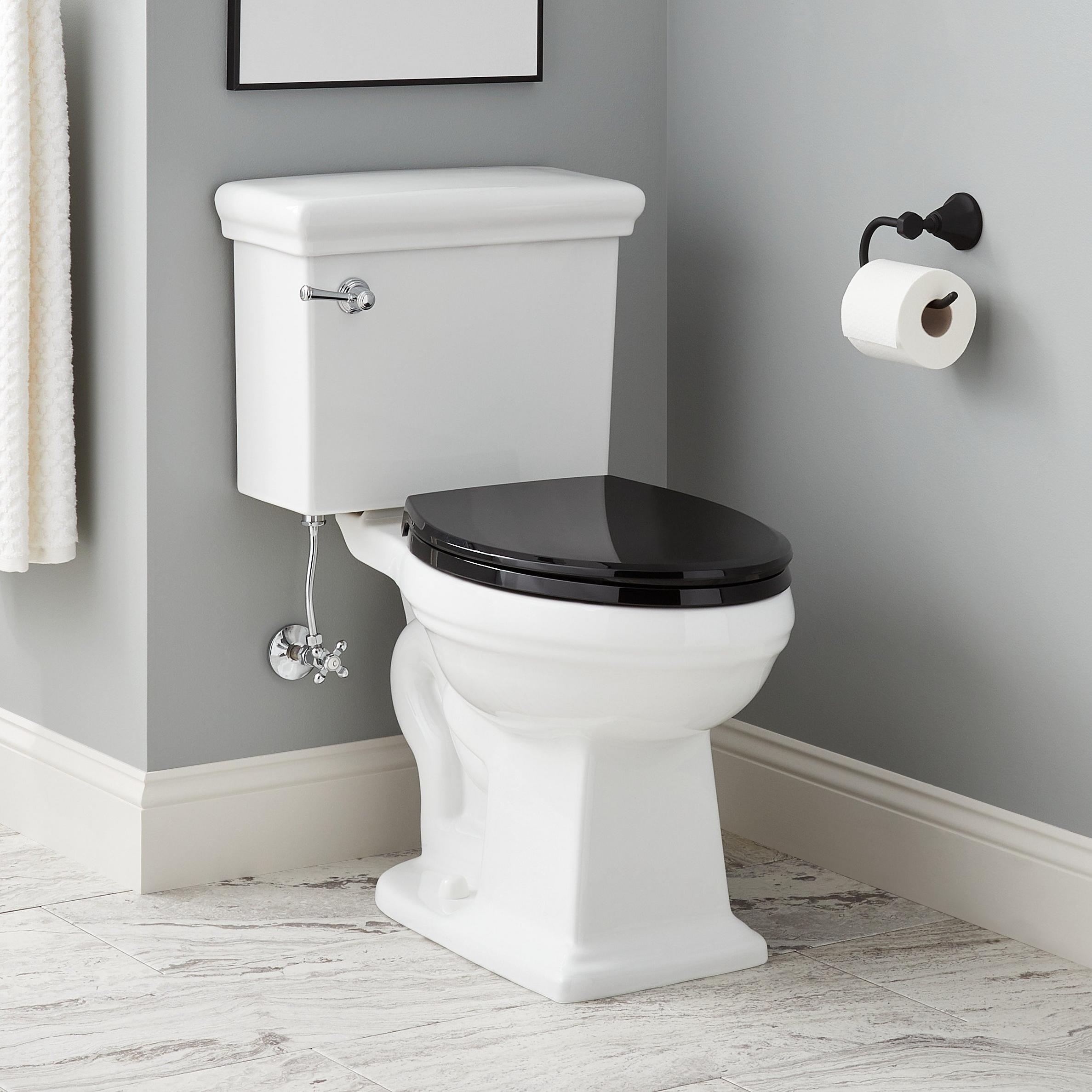 Key West Two-Piece Elongated Toilet - ADA Compliant - Black Heavy Duty ...