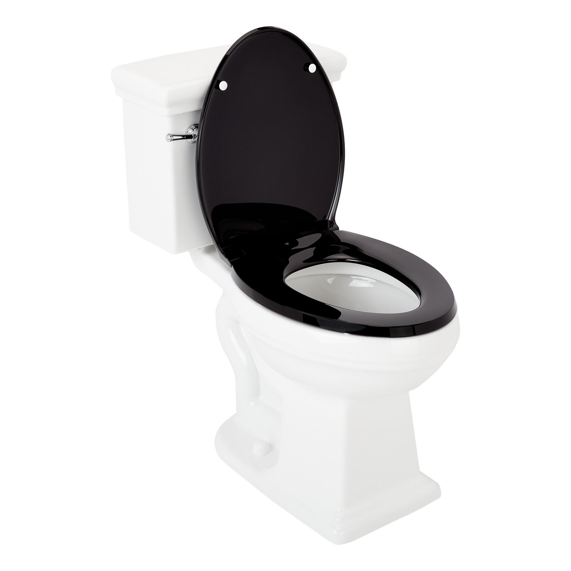 Key West Two-Piece Elongated Toilet - ADA Compliant - Black Heavy Duty ...