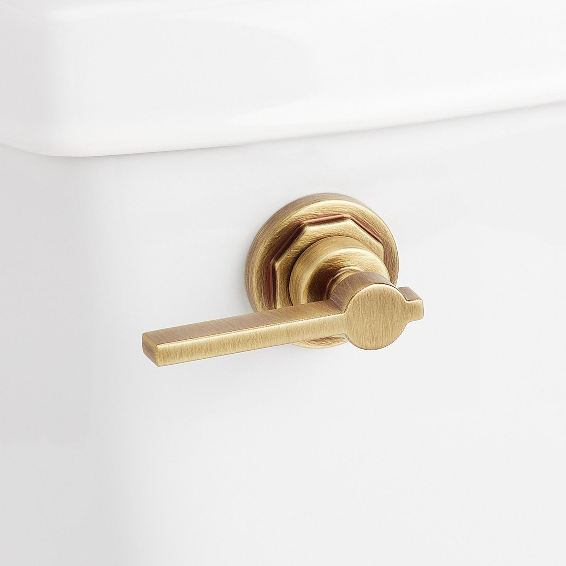 Greyfield Toilet Flush Handle - Aged Brass | Signature Hardware