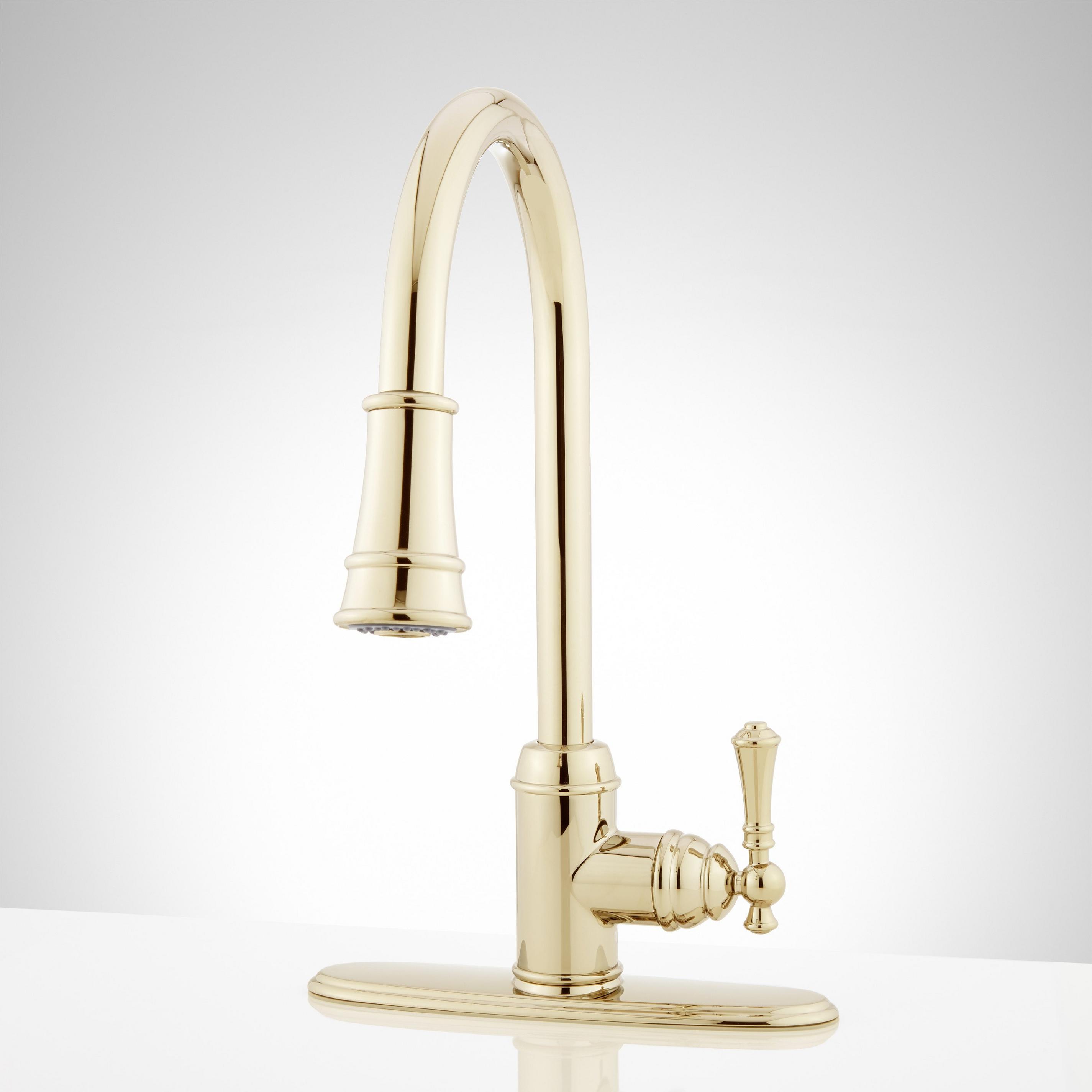 Amberley Single-Hole Pull-Down Spray Kitchen Faucet - Polished Brass ...
