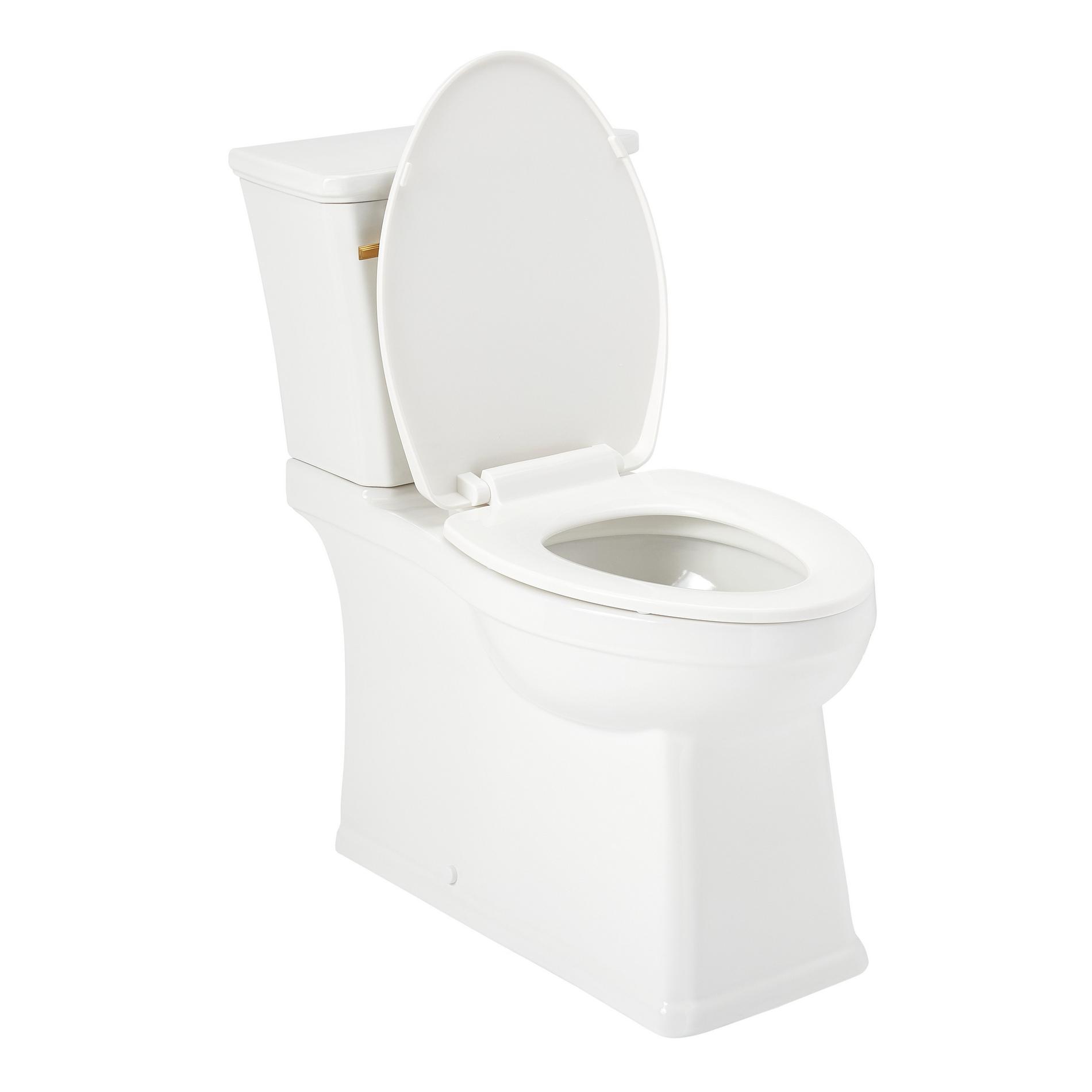 Benbrook Two-Piece Skirted Elongated Toilet - Brushed Gold Tank Handle ...