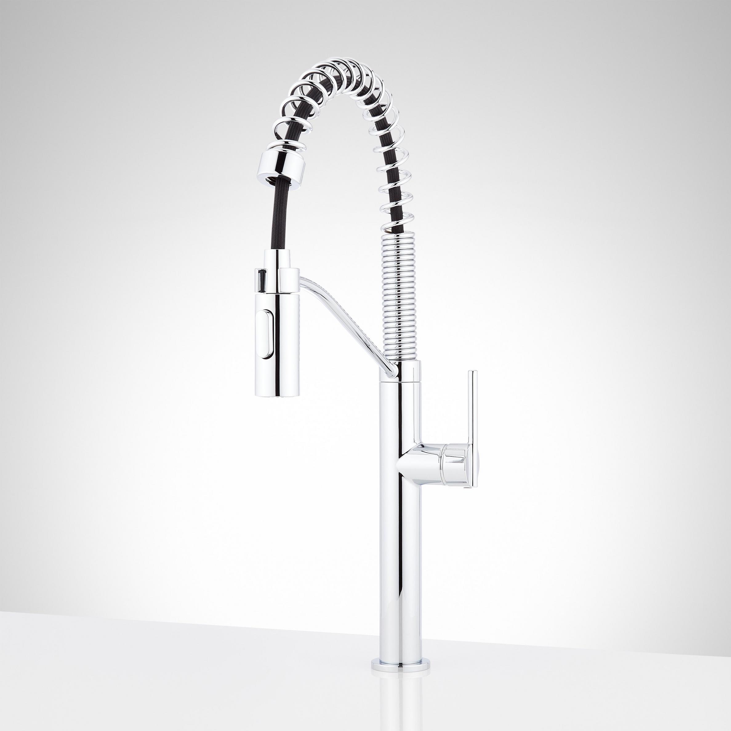 Eiler Single-Hole Kitchen Faucet with Pull-Down Spring Spout ...