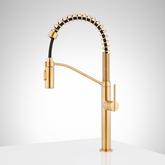Eiler Kitchen Faucet with Pull Down Spring Spout - Brushed Gold ...