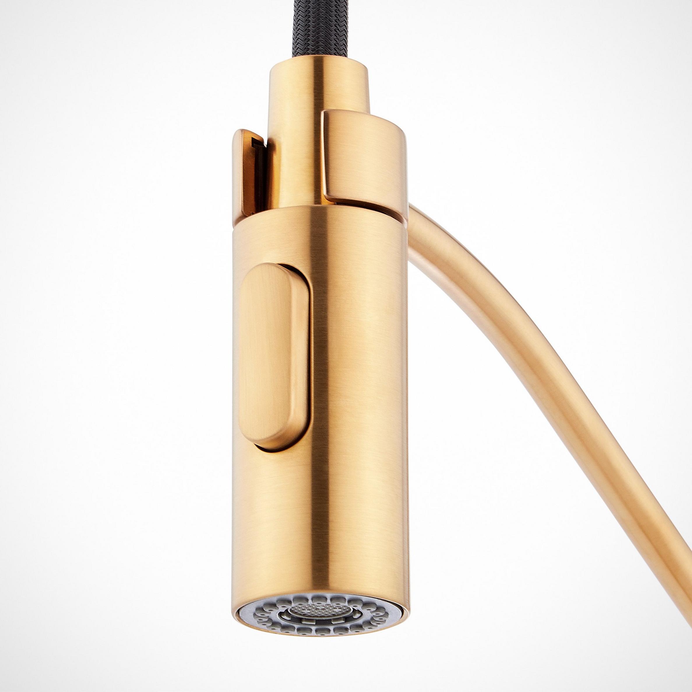 Eiler Kitchen Faucet with Pull Down Spring Spout - Brushed Gold ...