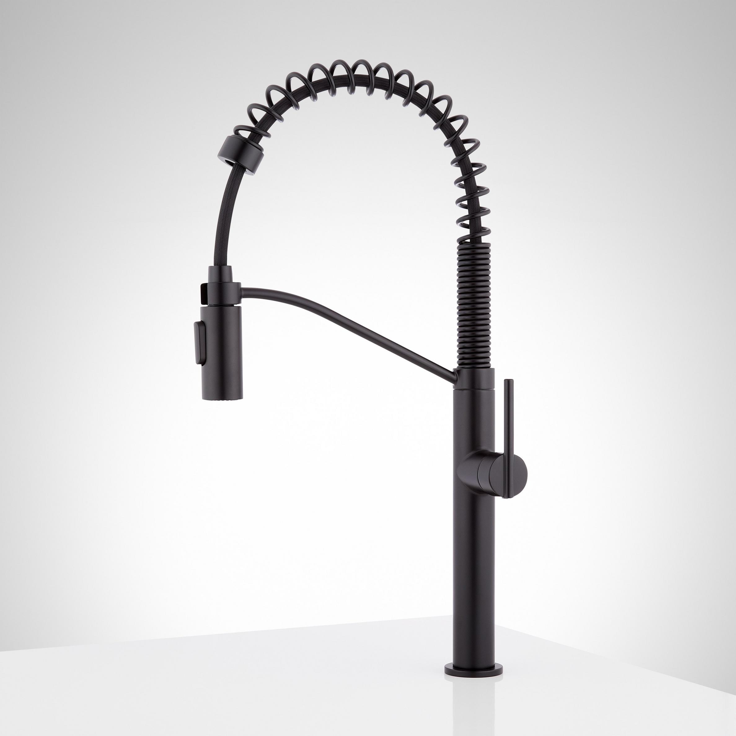 Eiler Single-Hole Kitchen Faucet with Pull-Down Spring Spout ...