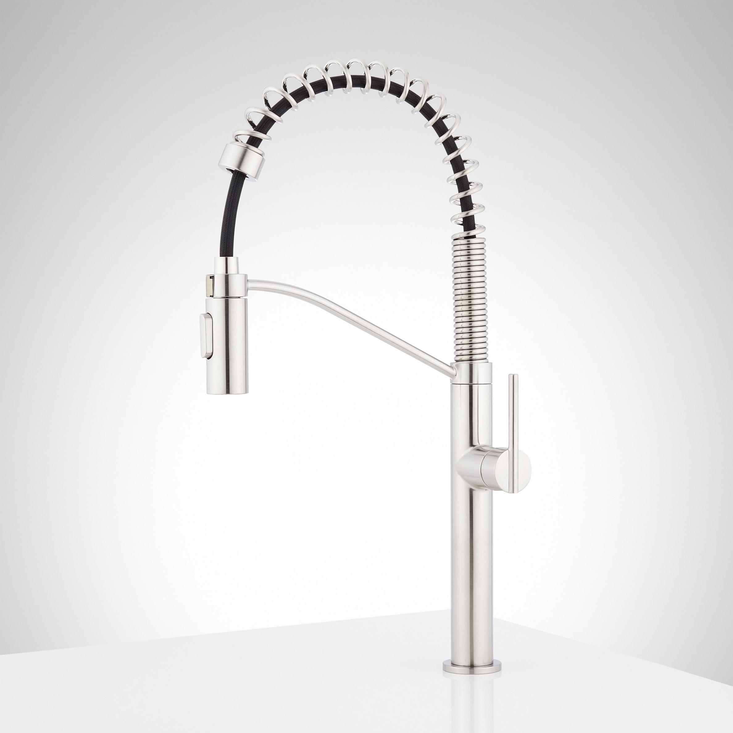 Eiler Single-Hole Kitchen Faucet with Pull-Down Spring Spout ...