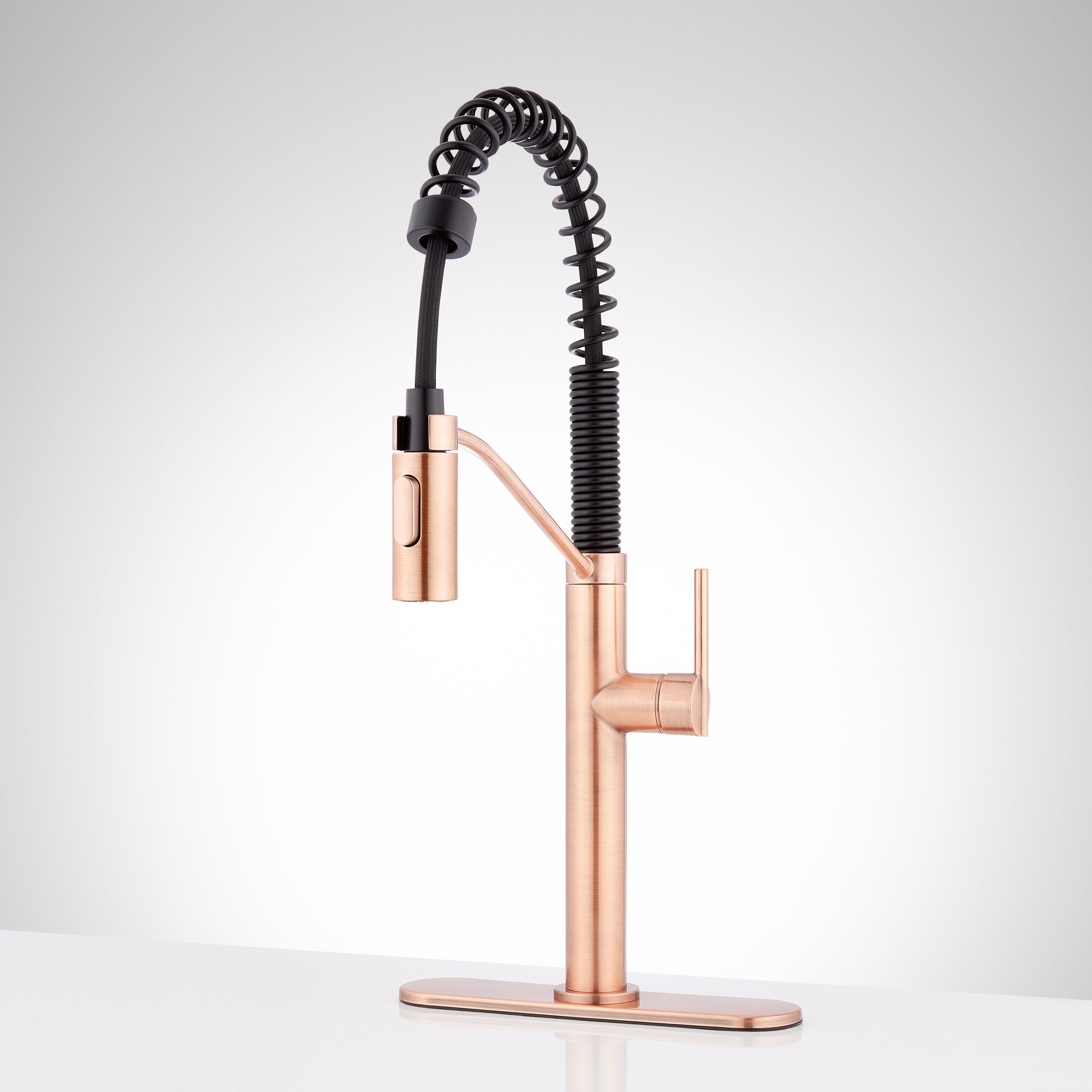 Eiler Kitchen Faucet with Pull Down Spring Spout with Deck Plate ...