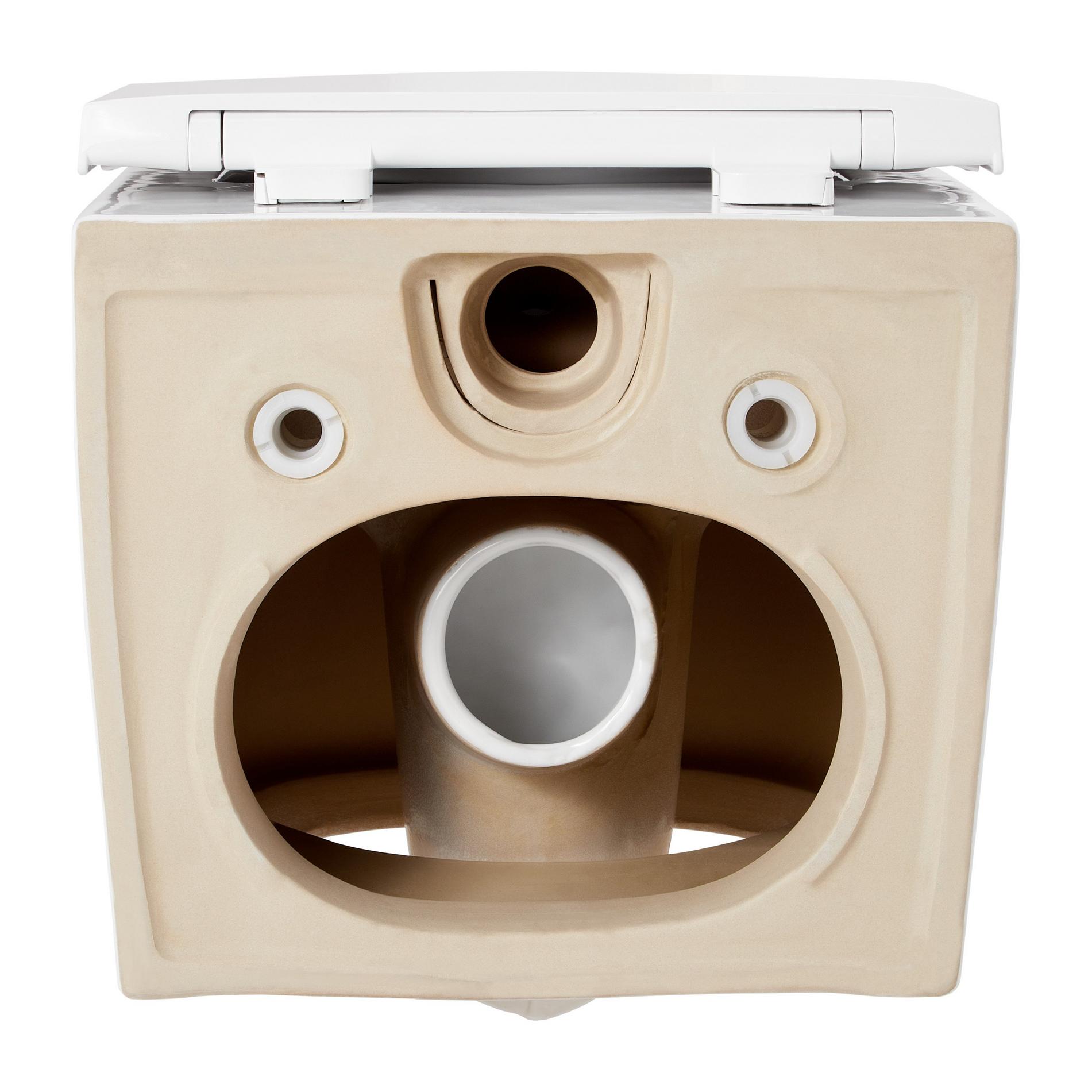 Arnelle Dual-Flush Wall-Mount Elongated Toilet with In-Wall Carrier ...