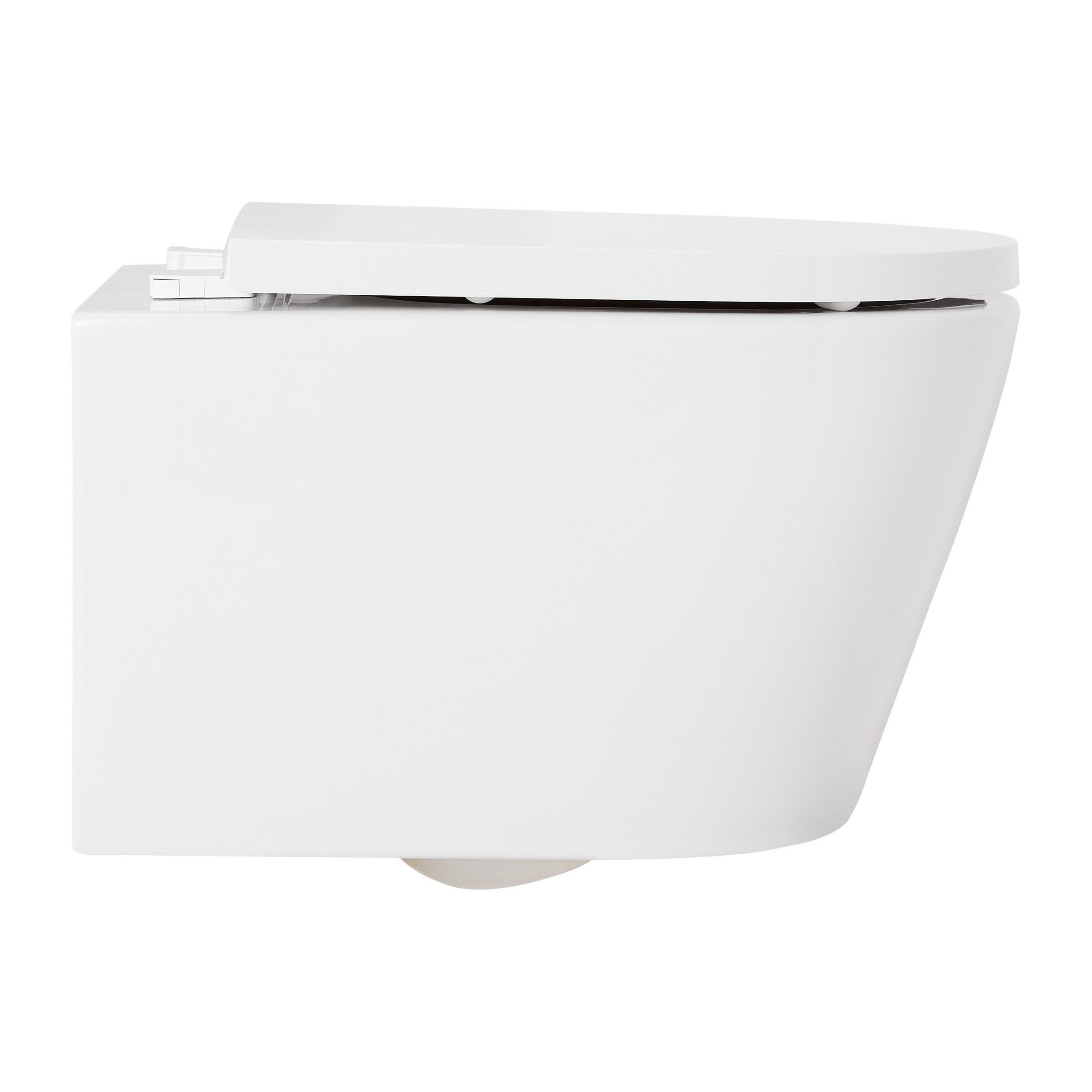 Arnelle Dual-Flush Wall-Mount Elongated Toilet with In-Wall Carrier ...