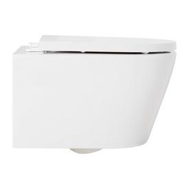 Arnelle Dual-Flush Wall-Mount Elongated Toilet with In-Wall Carrier ...