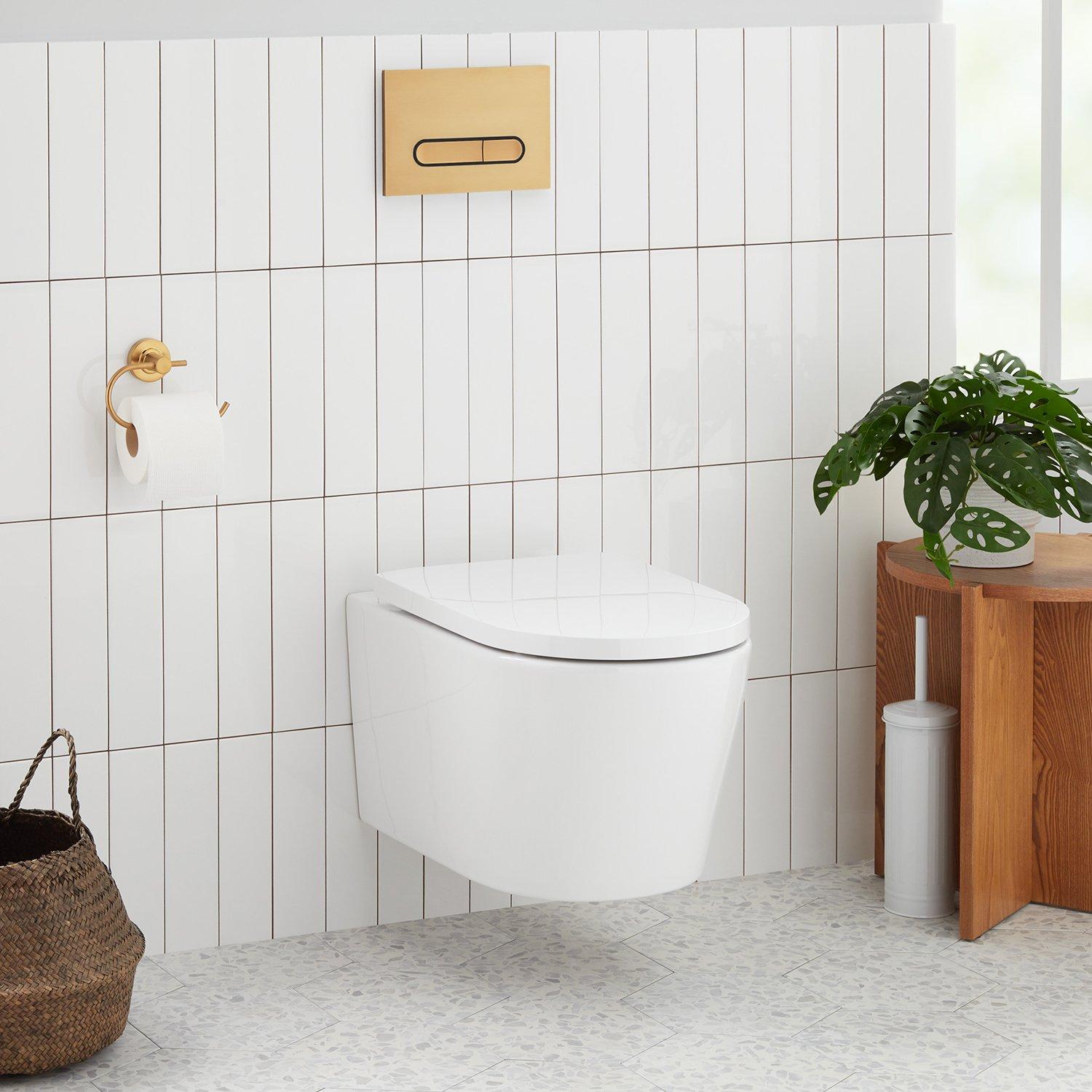 Arnelle Dual-Flush Wall-Mount Elongated Toilet with In-Wall Carrier ...