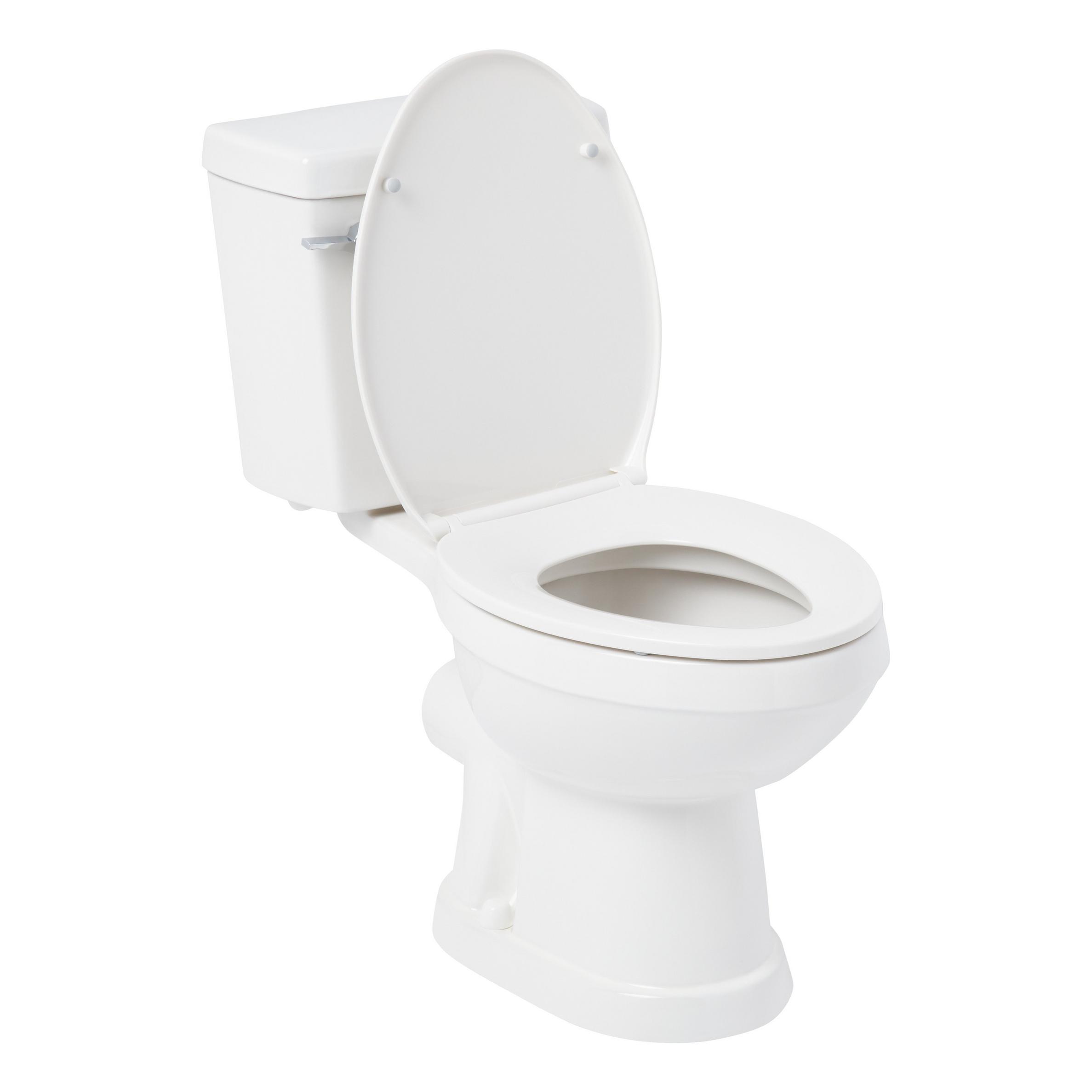 Waycross Two-Piece European Rear Outlet Toilet - Chrome | Signature ...