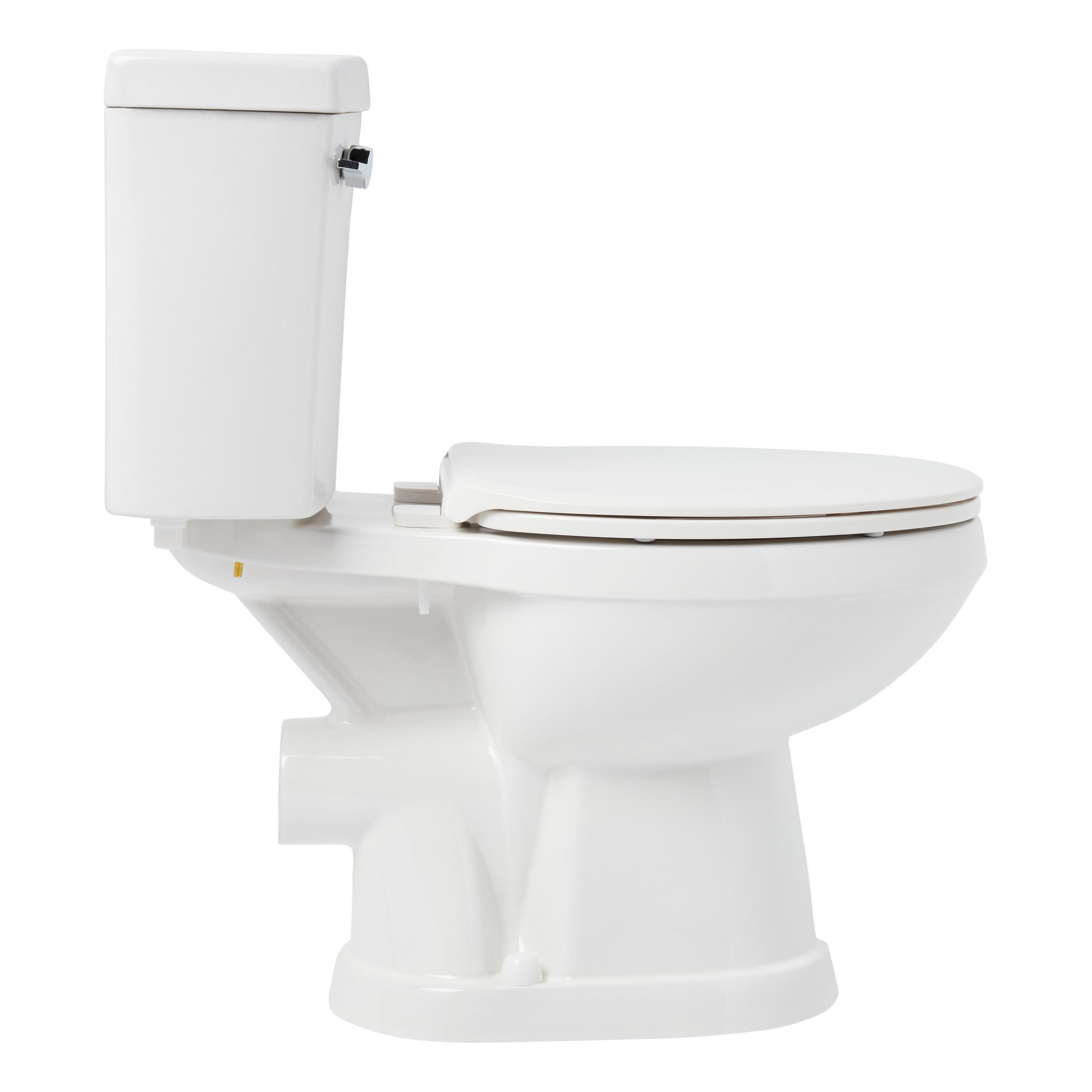 Waycross Two-Piece European Rear Outlet Toilet - Chrome | Signature ...