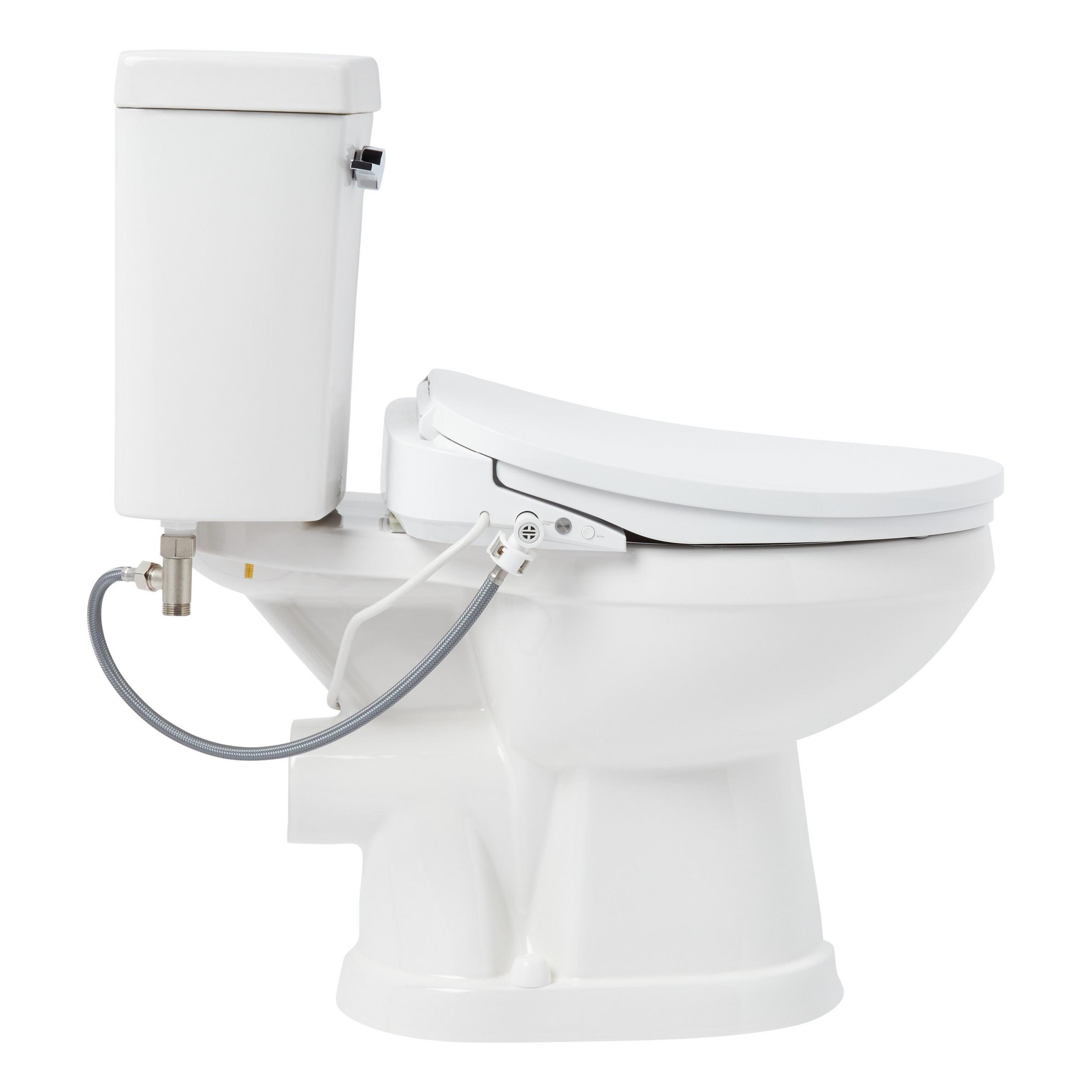 Waycross Two-Piece European Rear Outlet Toilet with Bidet Seat ...