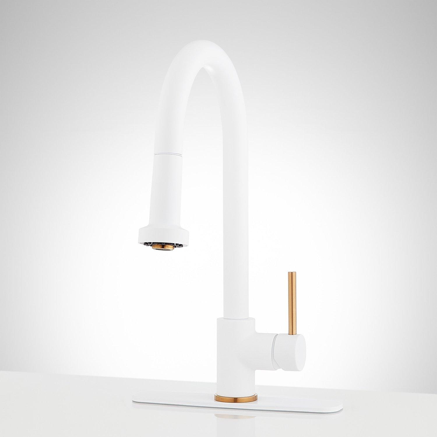 Ridgeway Pull-Down Two-Tone Kitchen Faucet with Deck Plate - Matte ...