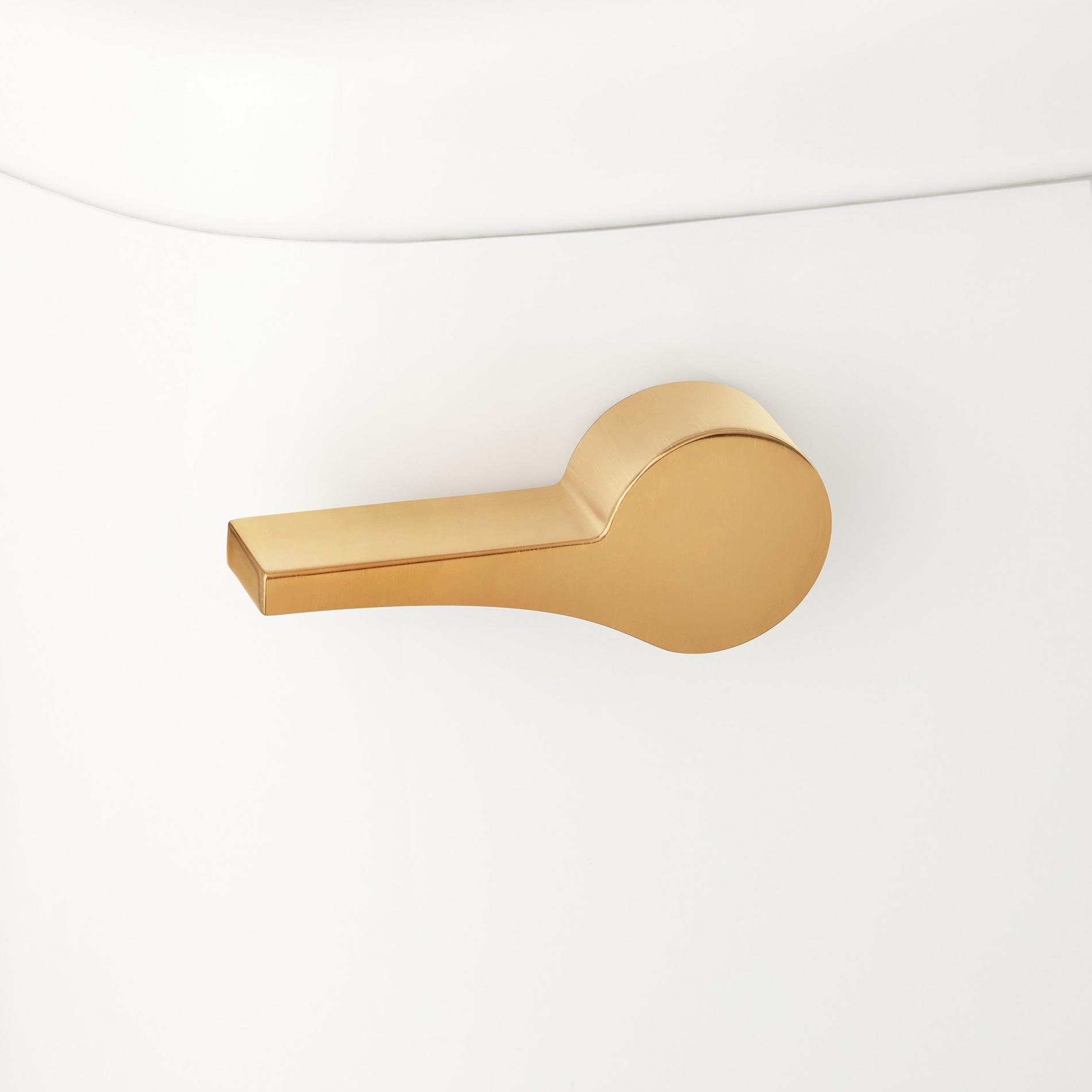 Bradenton Toilet Flush Handle | Signature Hardware