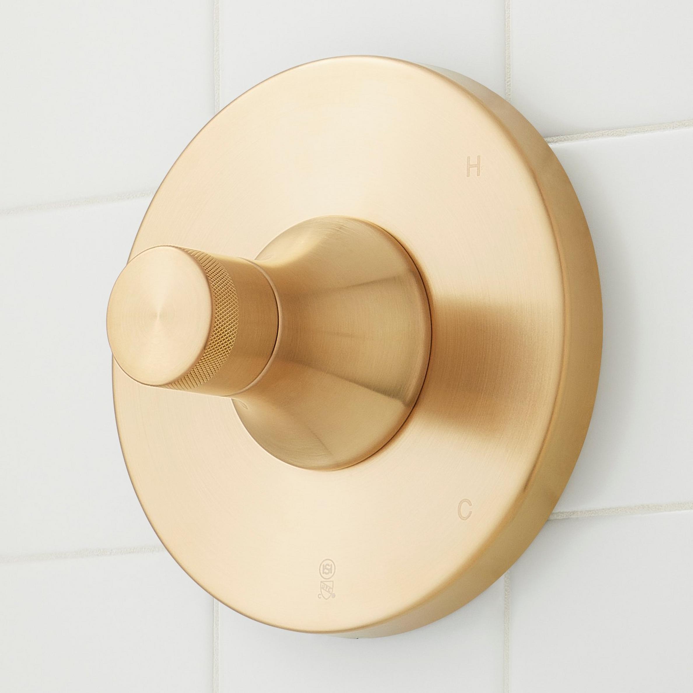 Lentz Pressure Balance Shower System with Hand Shower - Knob Handle ...