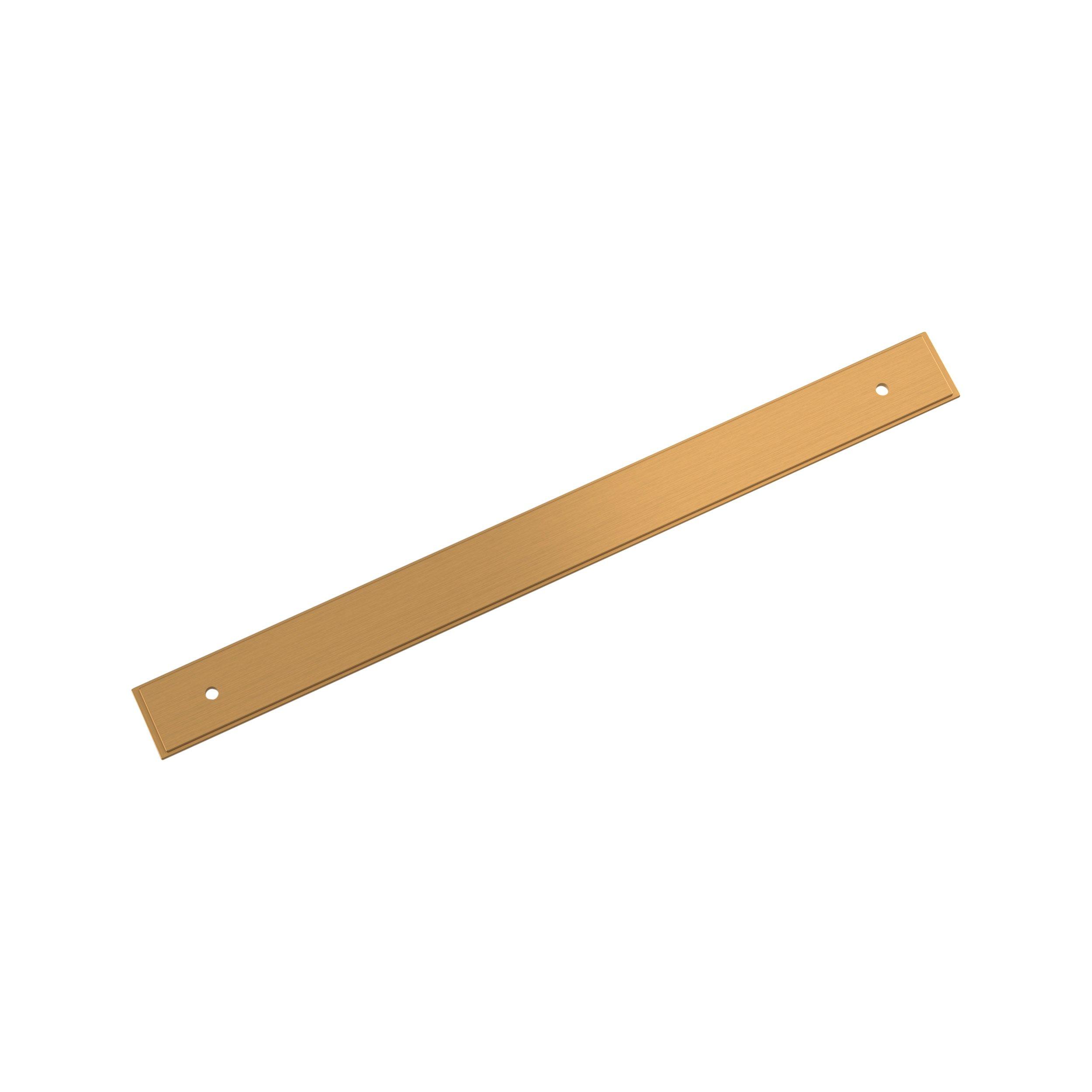 10-1/16" Traditional Oversized Cabinet Pull Backplate - Brushed Gold ...