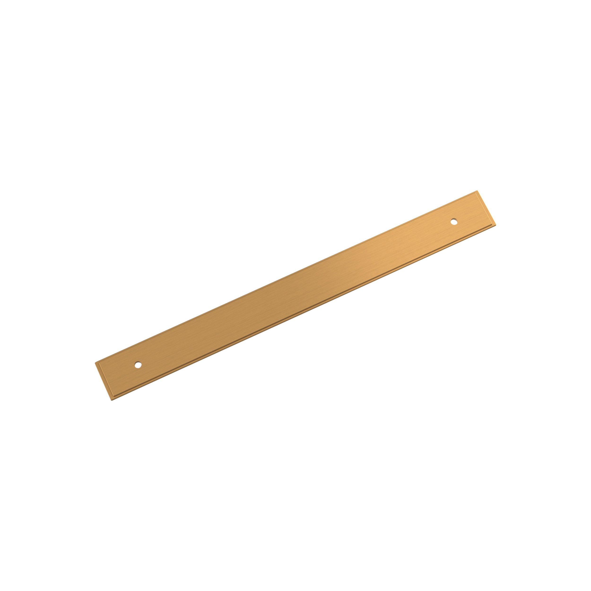 8-13/16" Traditional Oversized Cabinet Pull Backplate - Brushed Gold ...