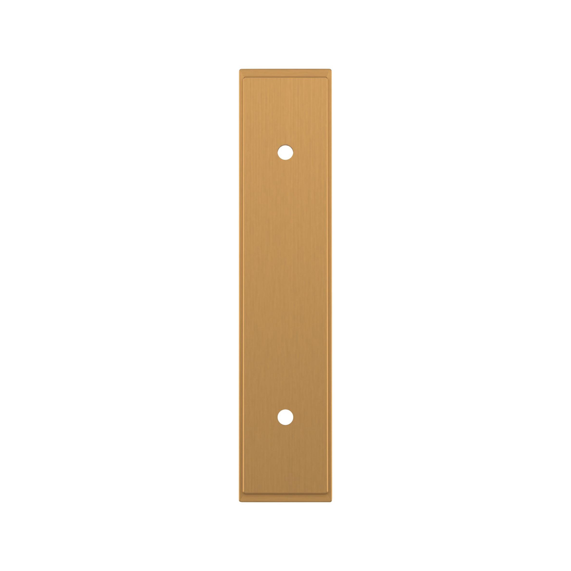 Traditional Cabinet Pull Backplate | Signature Hardware