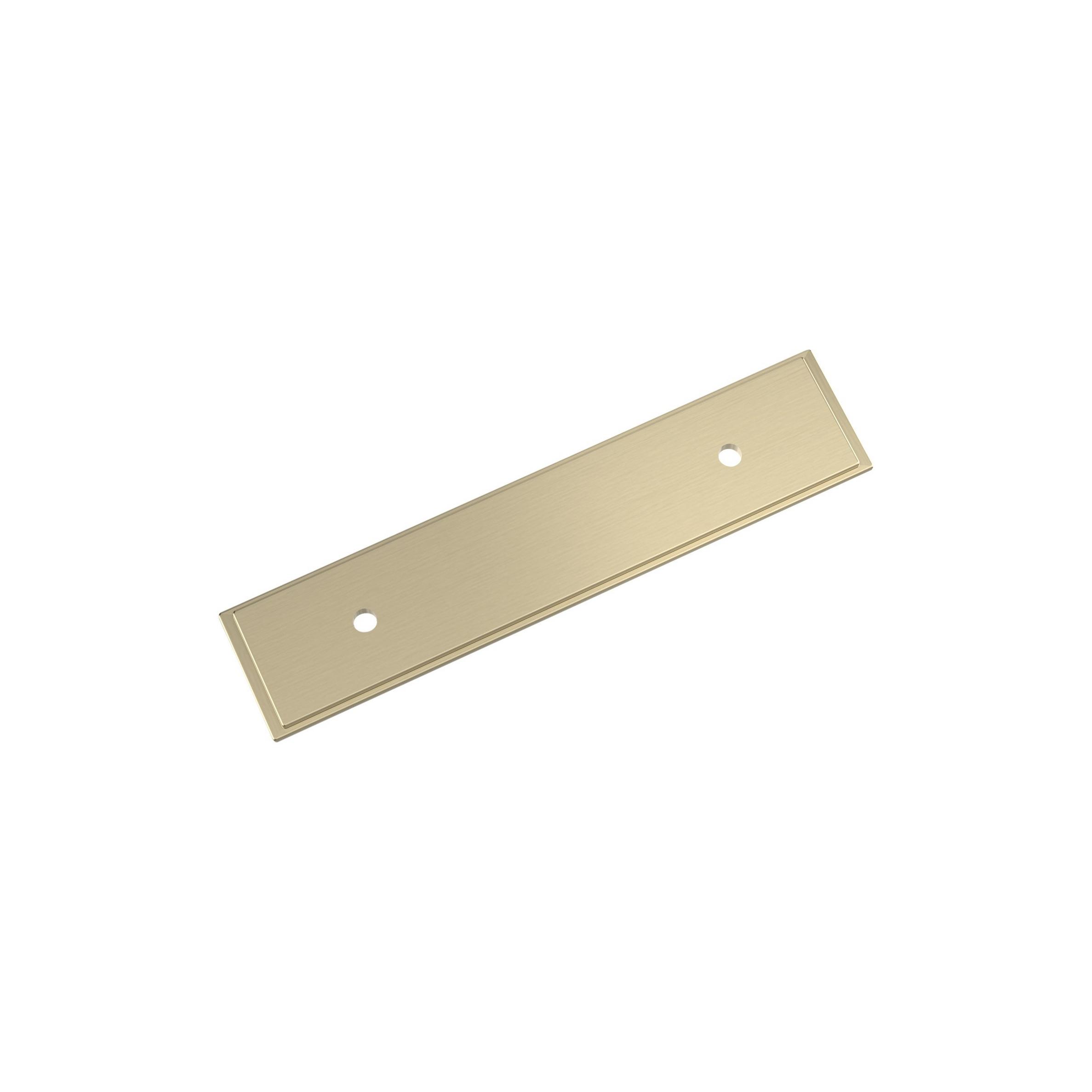 Traditional Cabinet Pull Backplate | Signature Hardware