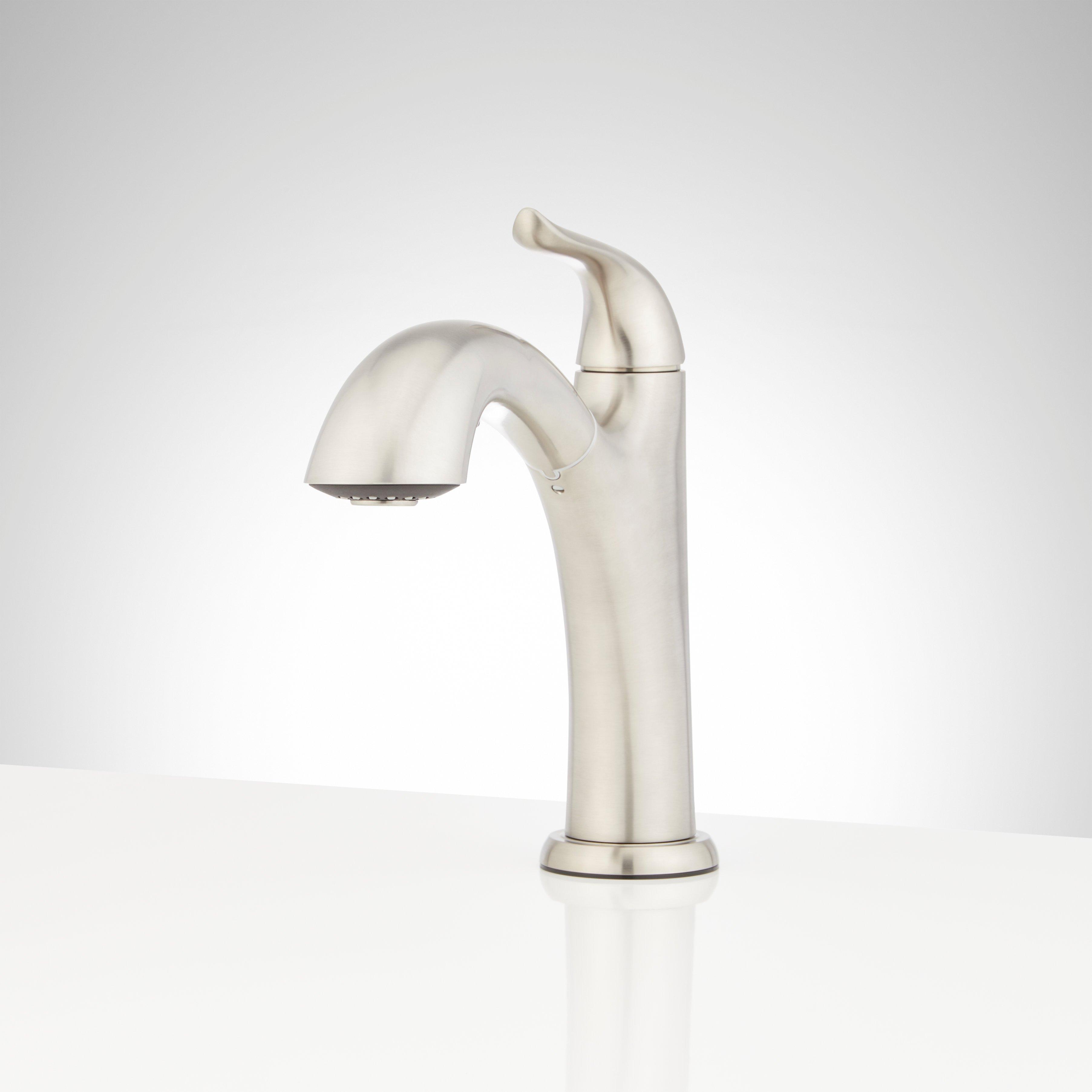 Cypress Single-Hole Dual-Function Pull-Out Kitchen Faucet - Stainless ...