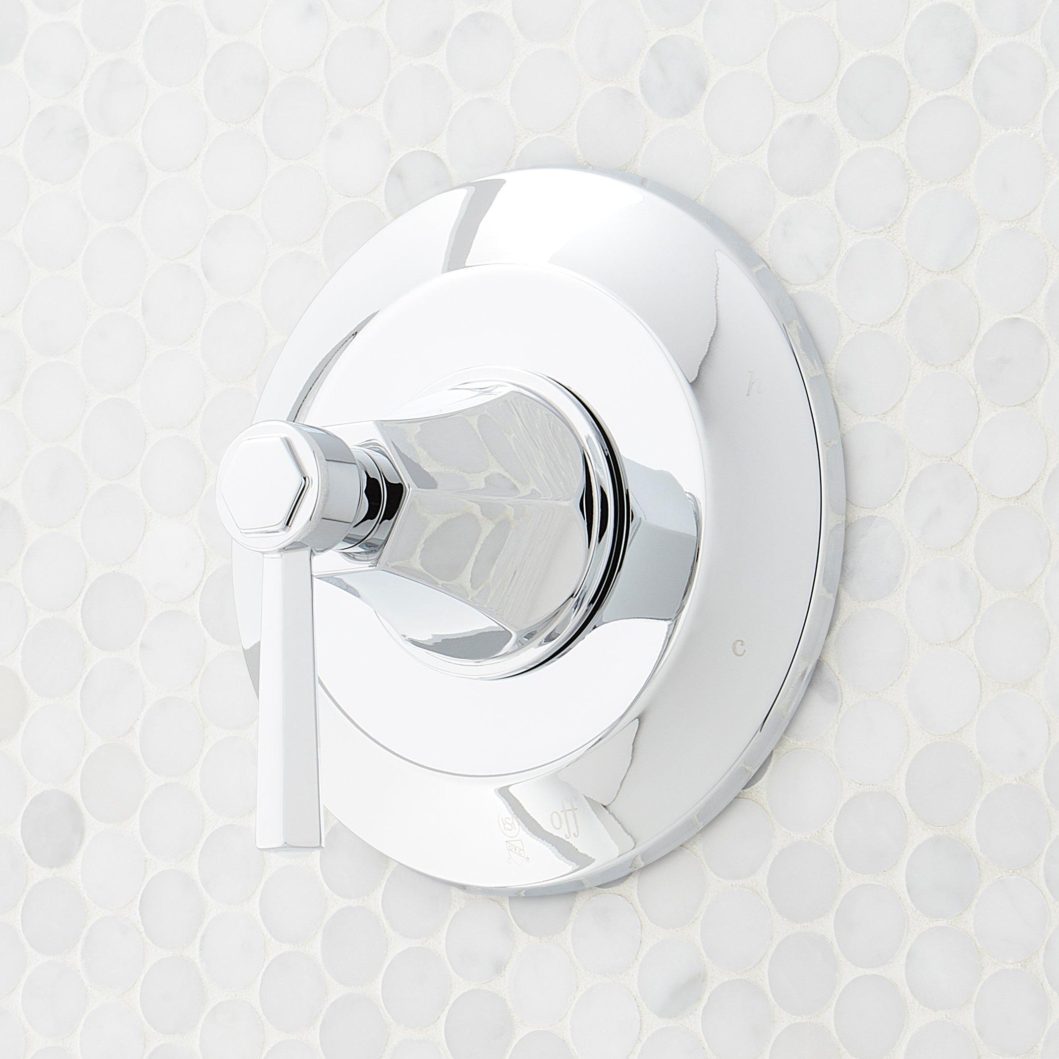 Elita Pressure Balance Shower Valve Trim with Rough-In Valve - Lever ...