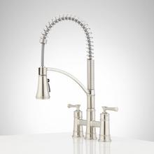 Beasley Bridge Kitchen Faucet with Pull-Down Spring Spout | Signature ...