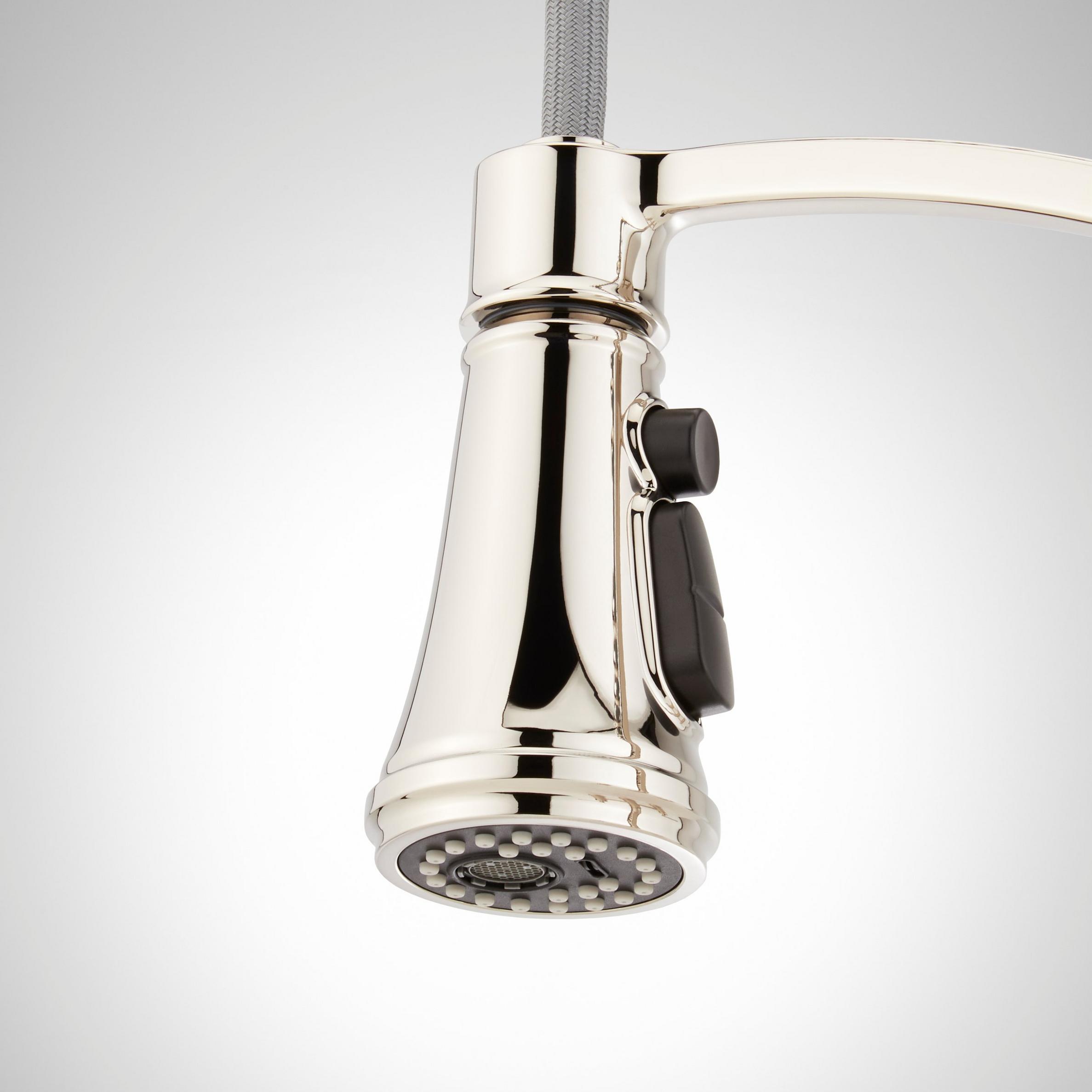 Beasley Bridge Kitchen Faucet with Pull-Down Spring Spout | Signature ...