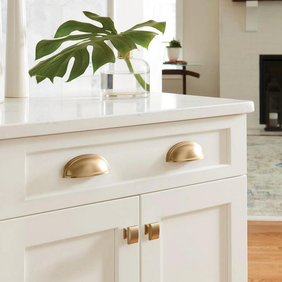 Bin Pulls, Cup Pulls | Signature Hardware | Signature Hardware