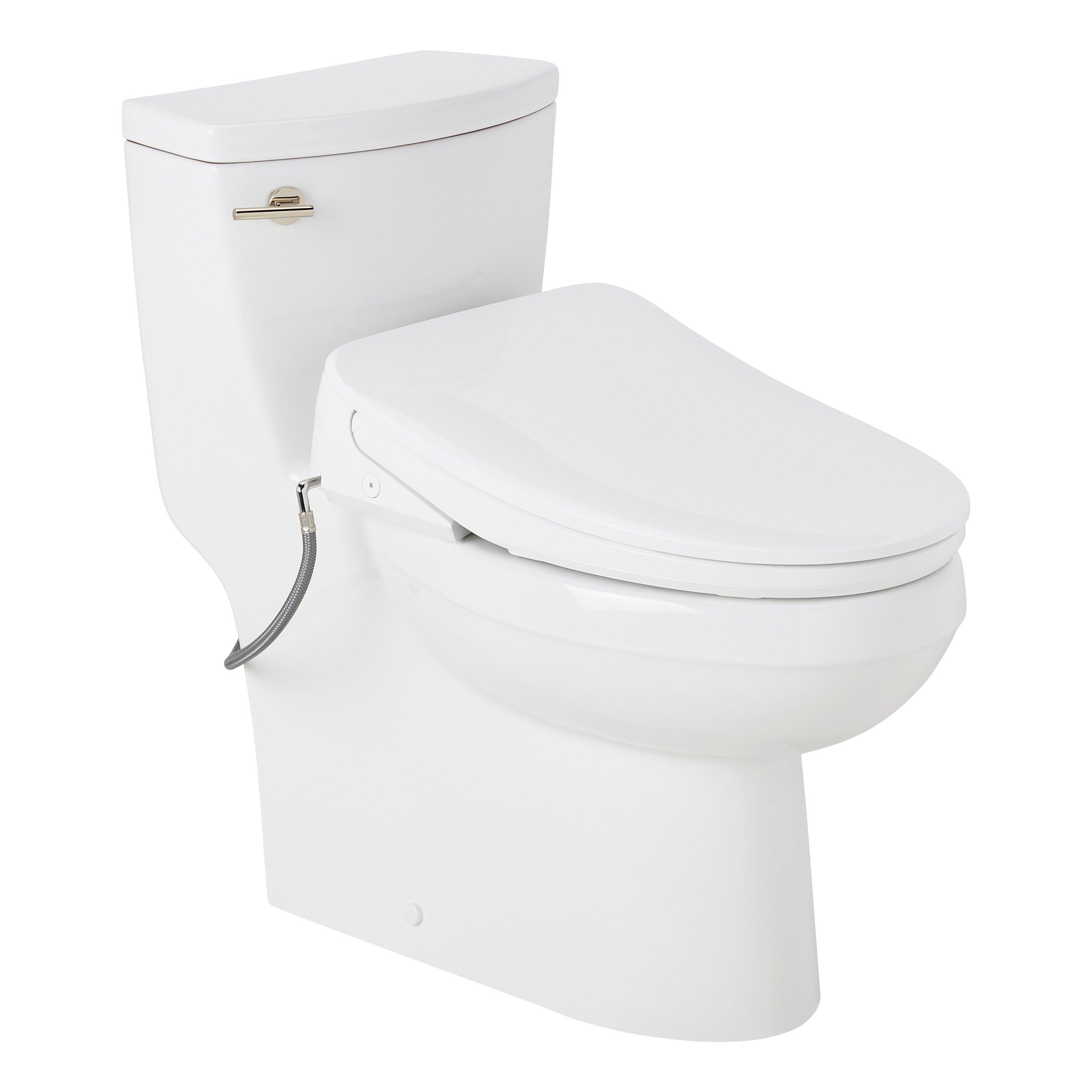 Brinstead One-Piece Elongated Skirted Toilet with Angelou Bidet Seat ...