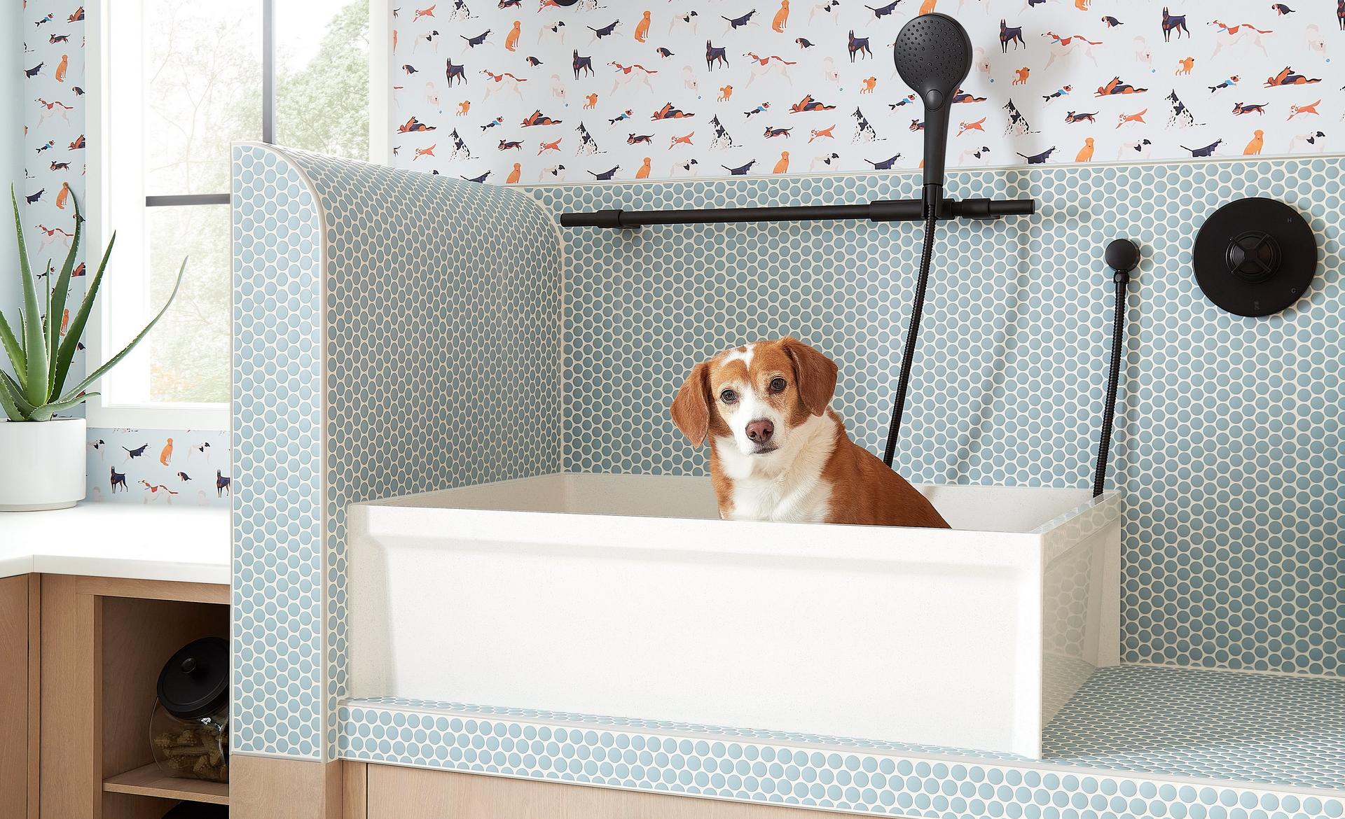 New Arrivals | Signature Hardware